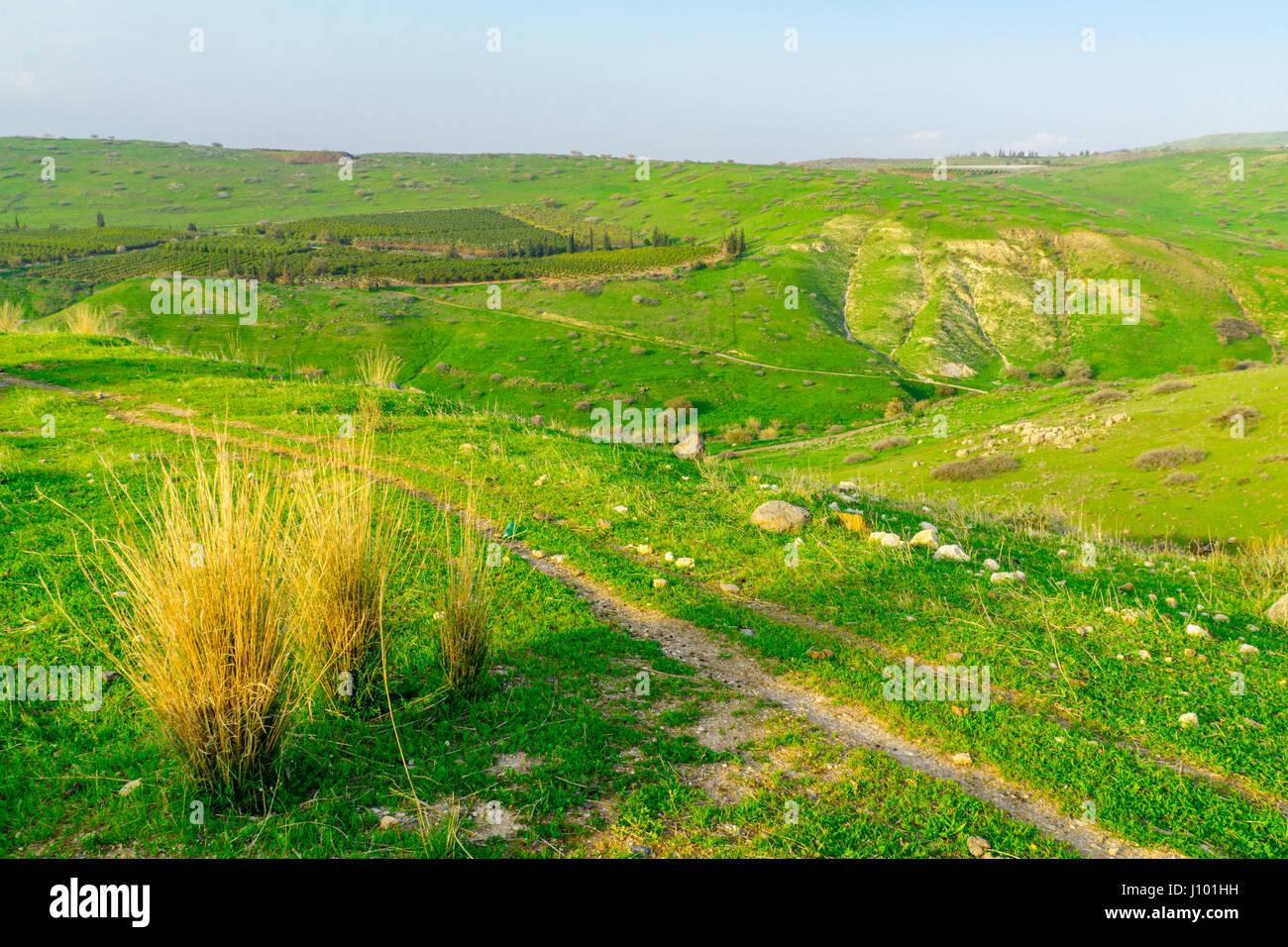 Landscape and countryside in the Golan Heights, in Northern Israel ...
