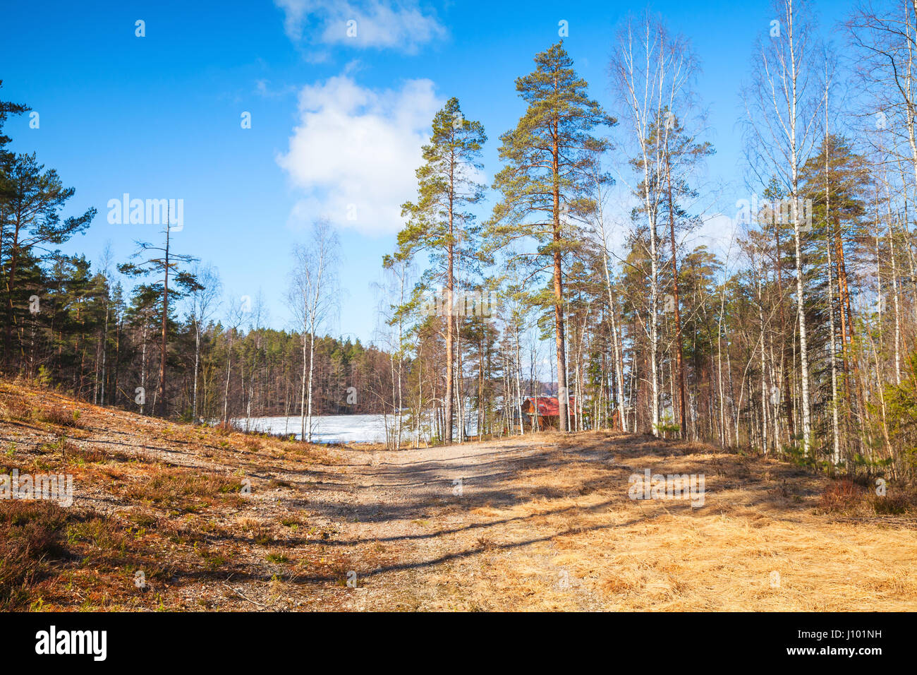 Spring Finnish landscape, Saimaa lake coast, Imatra, Finland Stock ...