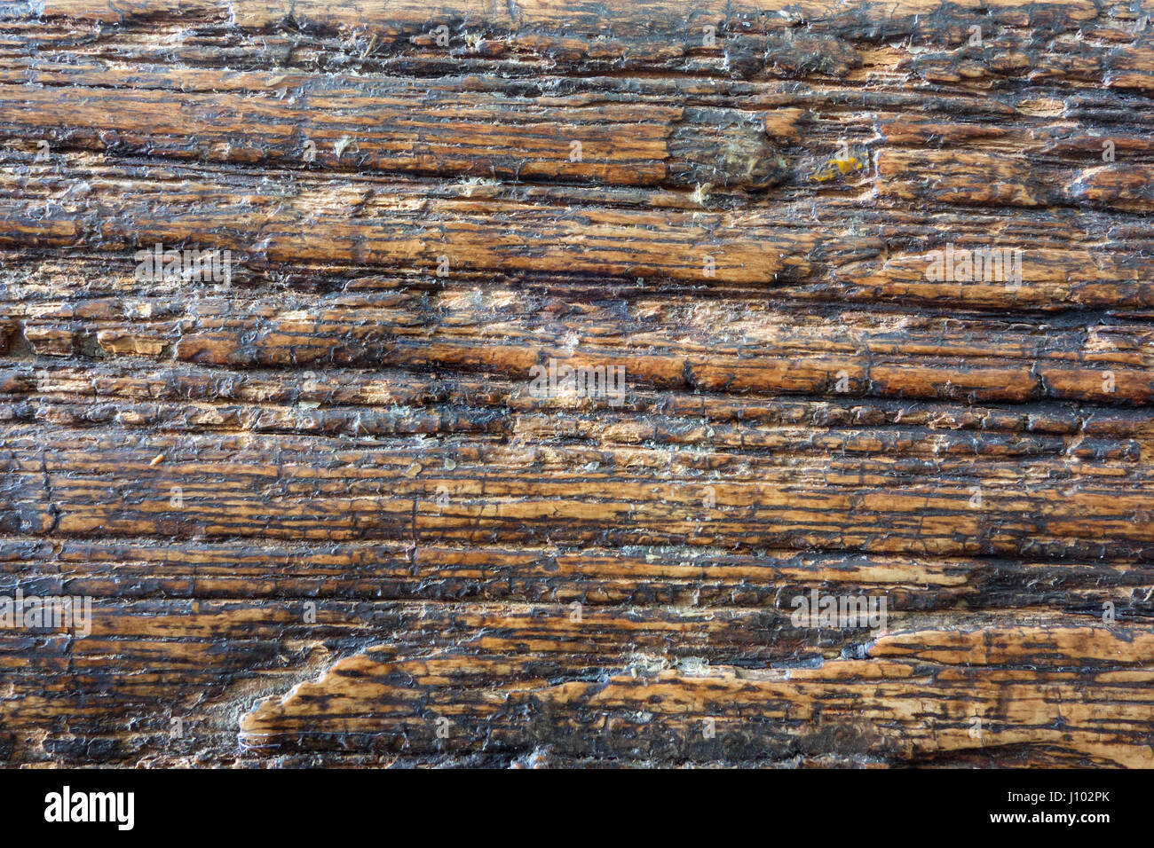 grunge wood texture Stock Photo - Alamy