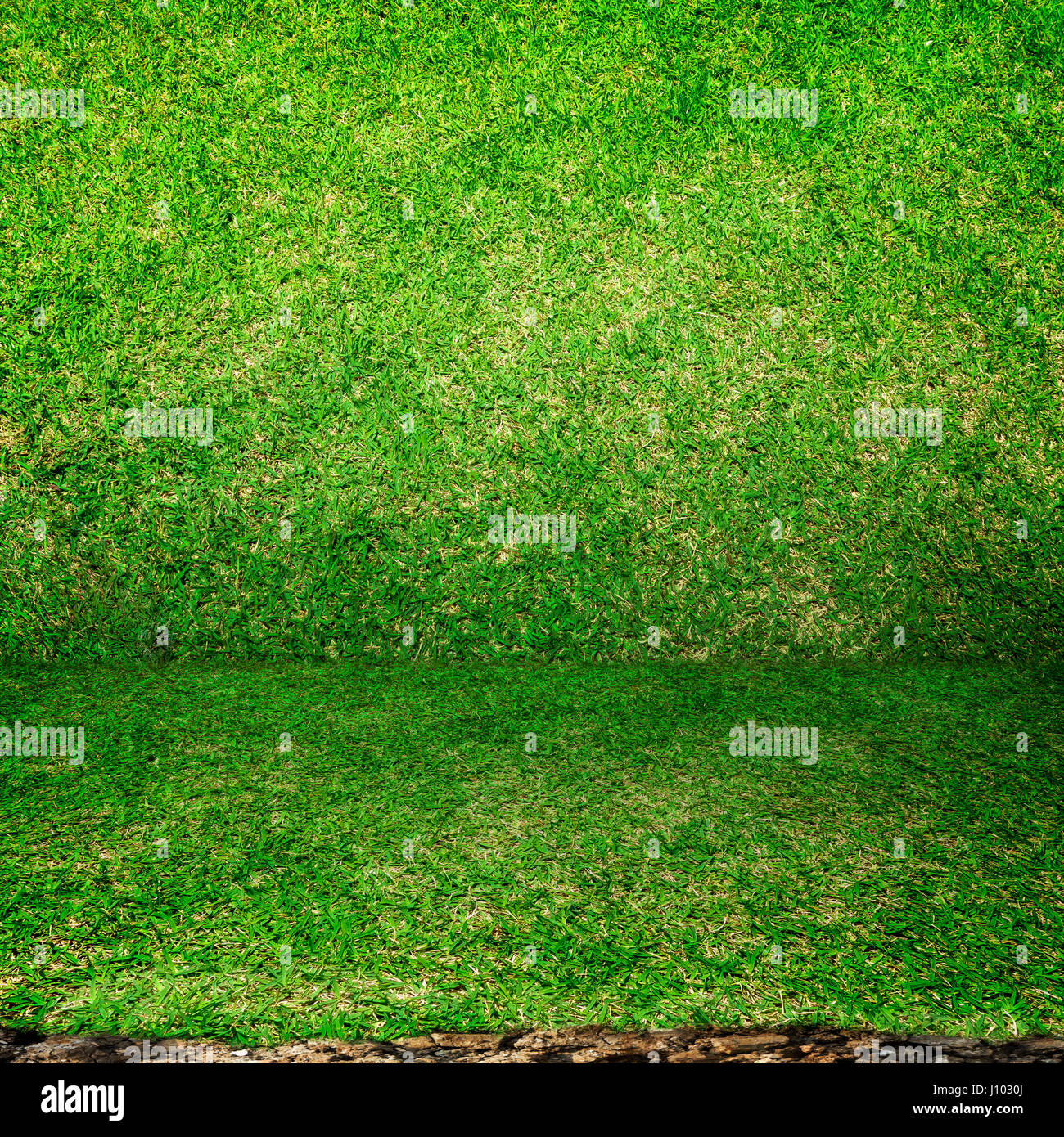 Grass texture perspective hi-res stock photography and images - Alamy