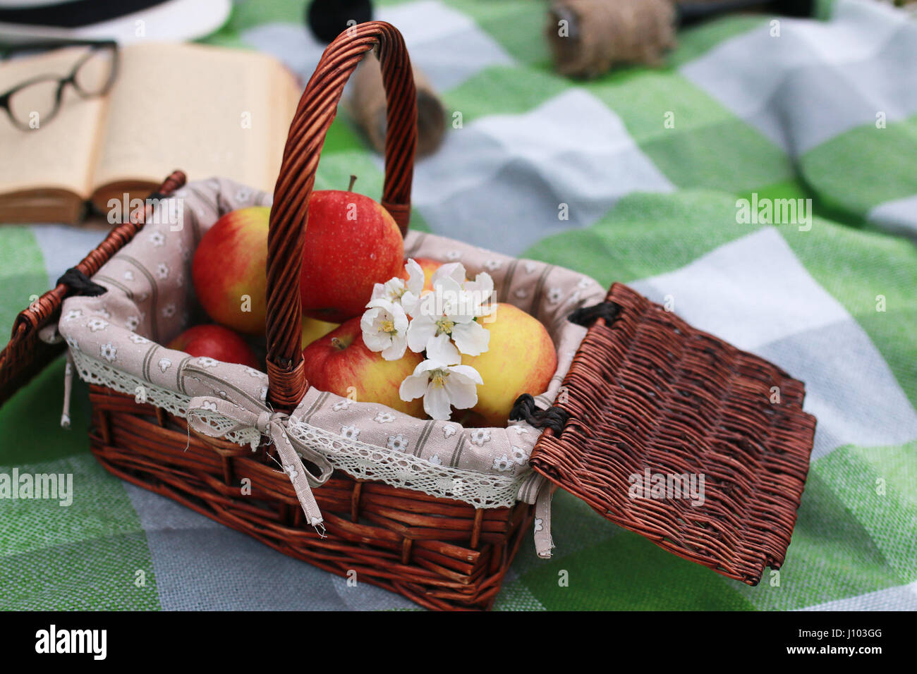 basket with food on plaid picnic in spring park Stock Photo - Alamy