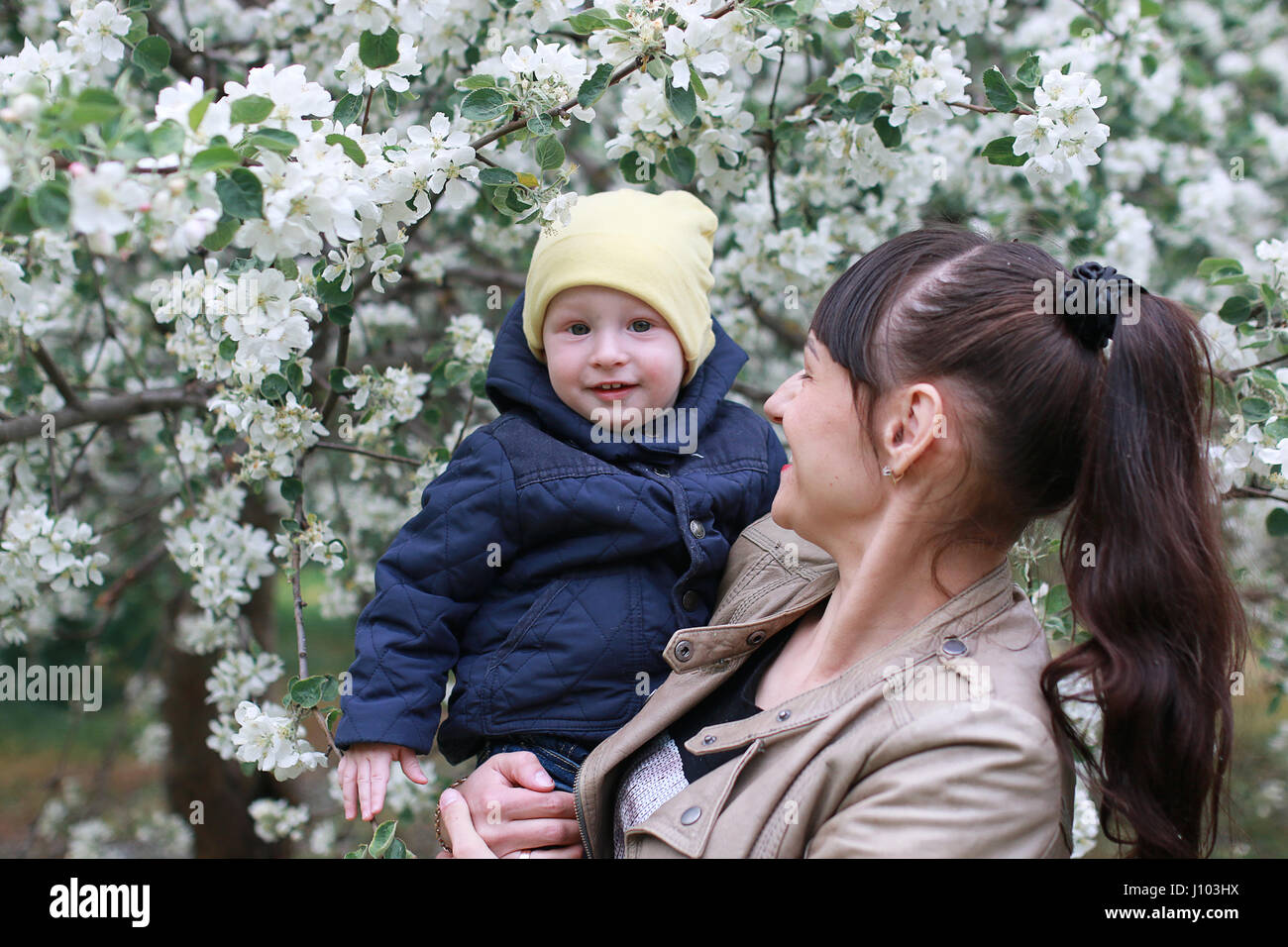 girl with daughter in a spring apple garden Stock Photo - Alamy