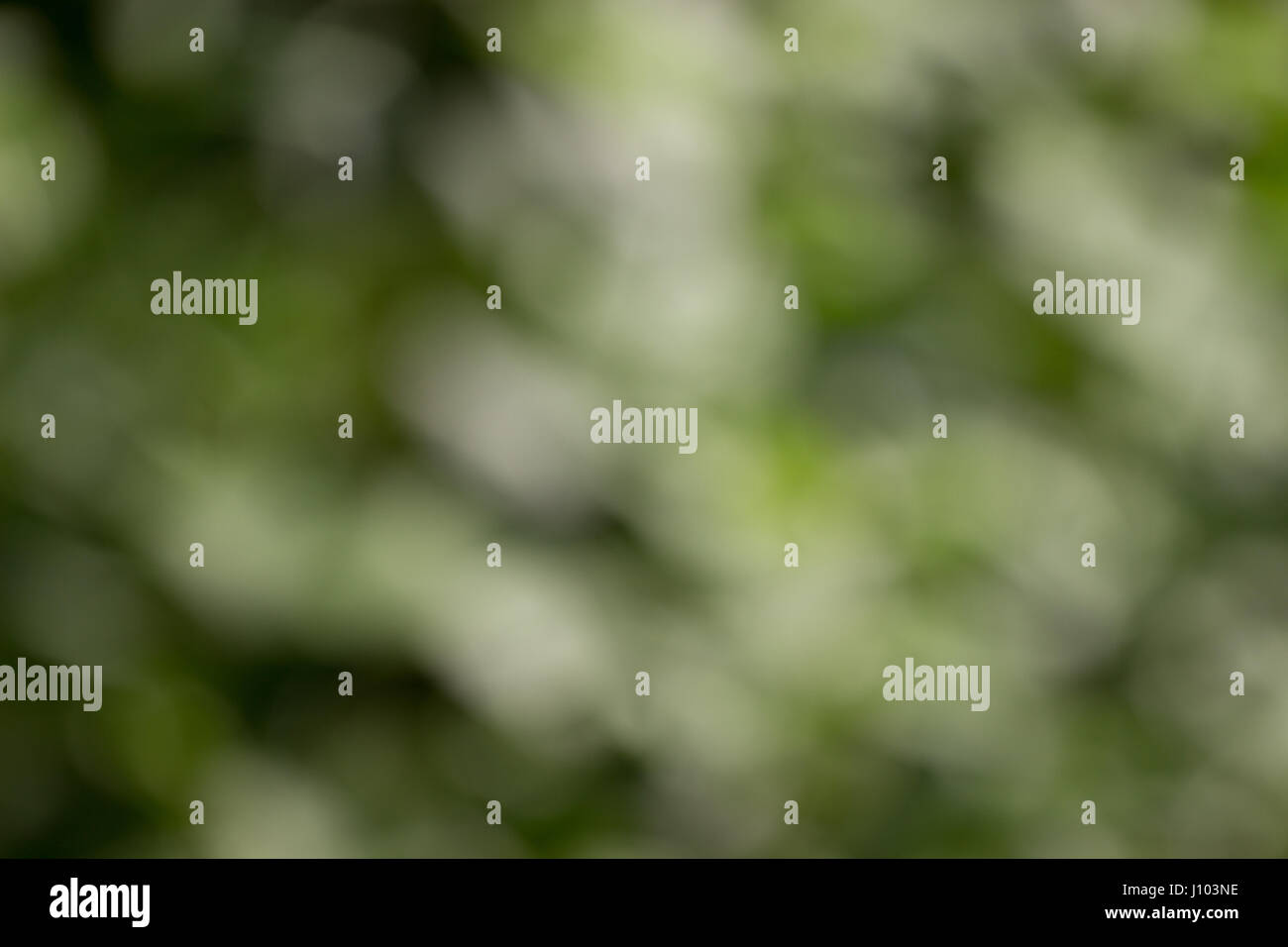 Natural abstract spring background Stock Photo - Alamy