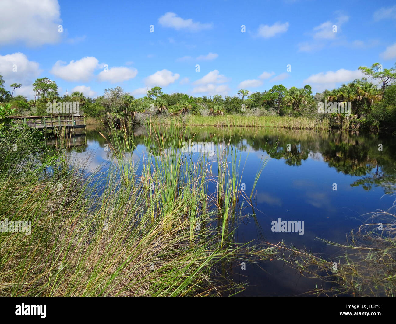 Charlotte harbor preserve state park hi-res stock photography and ...