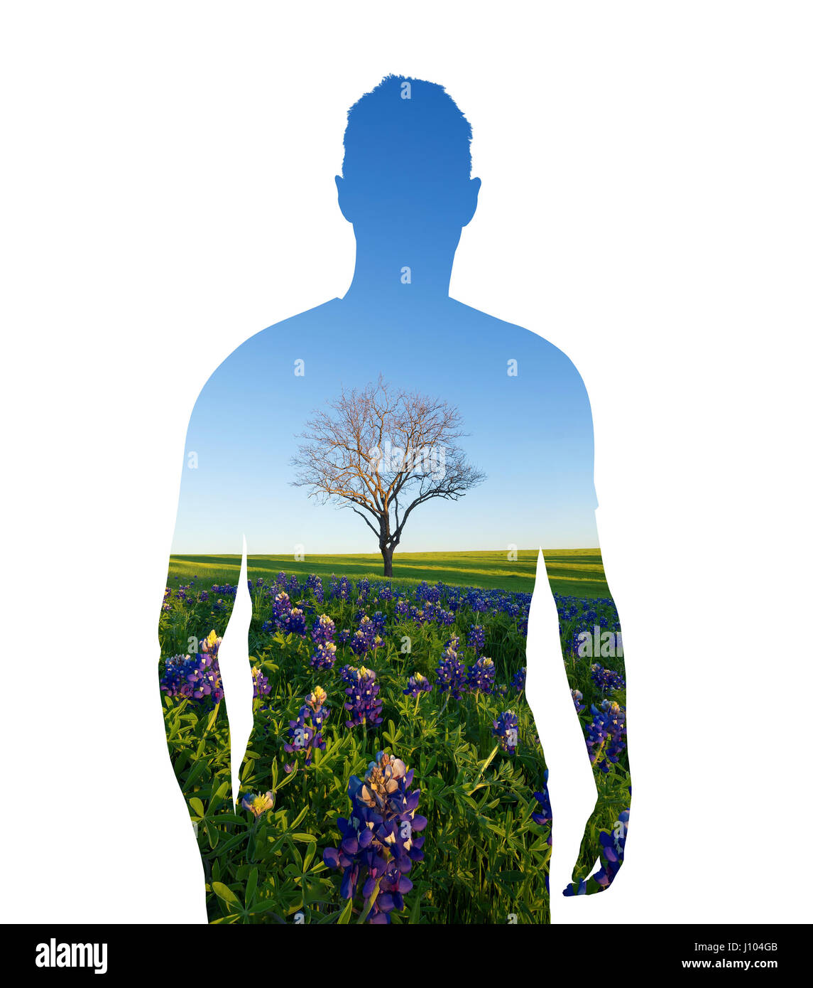 Protecting environment hi-res stock photography and images - Alamy