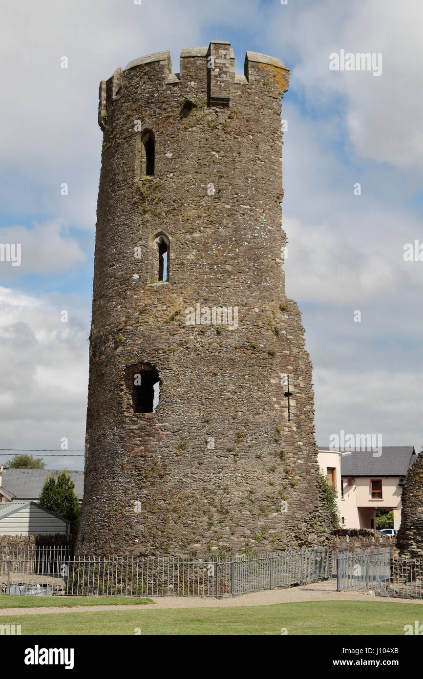 Ferns Castle in Ferns, County Wexford, Ireland (Eire Stock Photo - Alamy