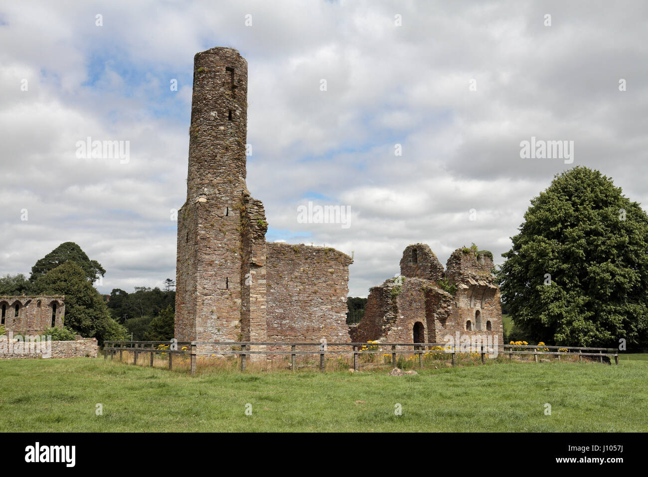 Marys abbey ferns hi-res stock photography and images - Alamy
