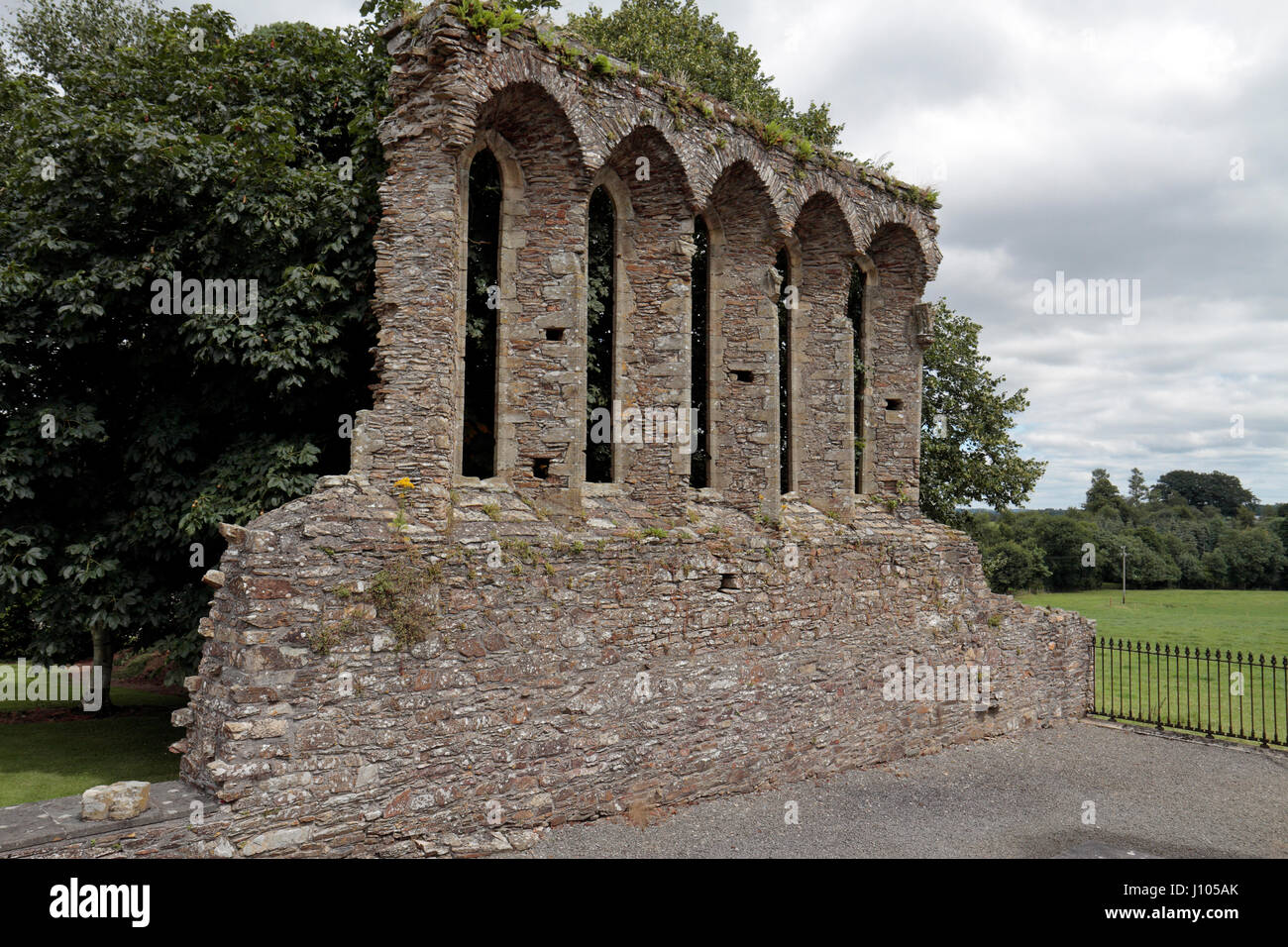 Marys abbey ferns hi-res stock photography and images - Alamy