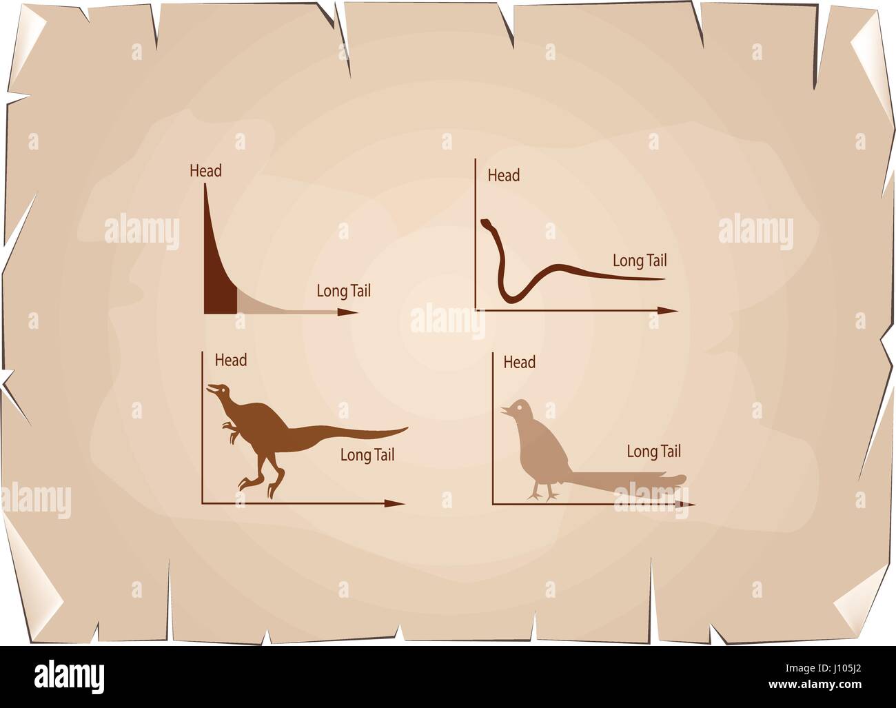 Charts and Graphs, Illustration Animal Cartoon of Fat Tailed and Long ...