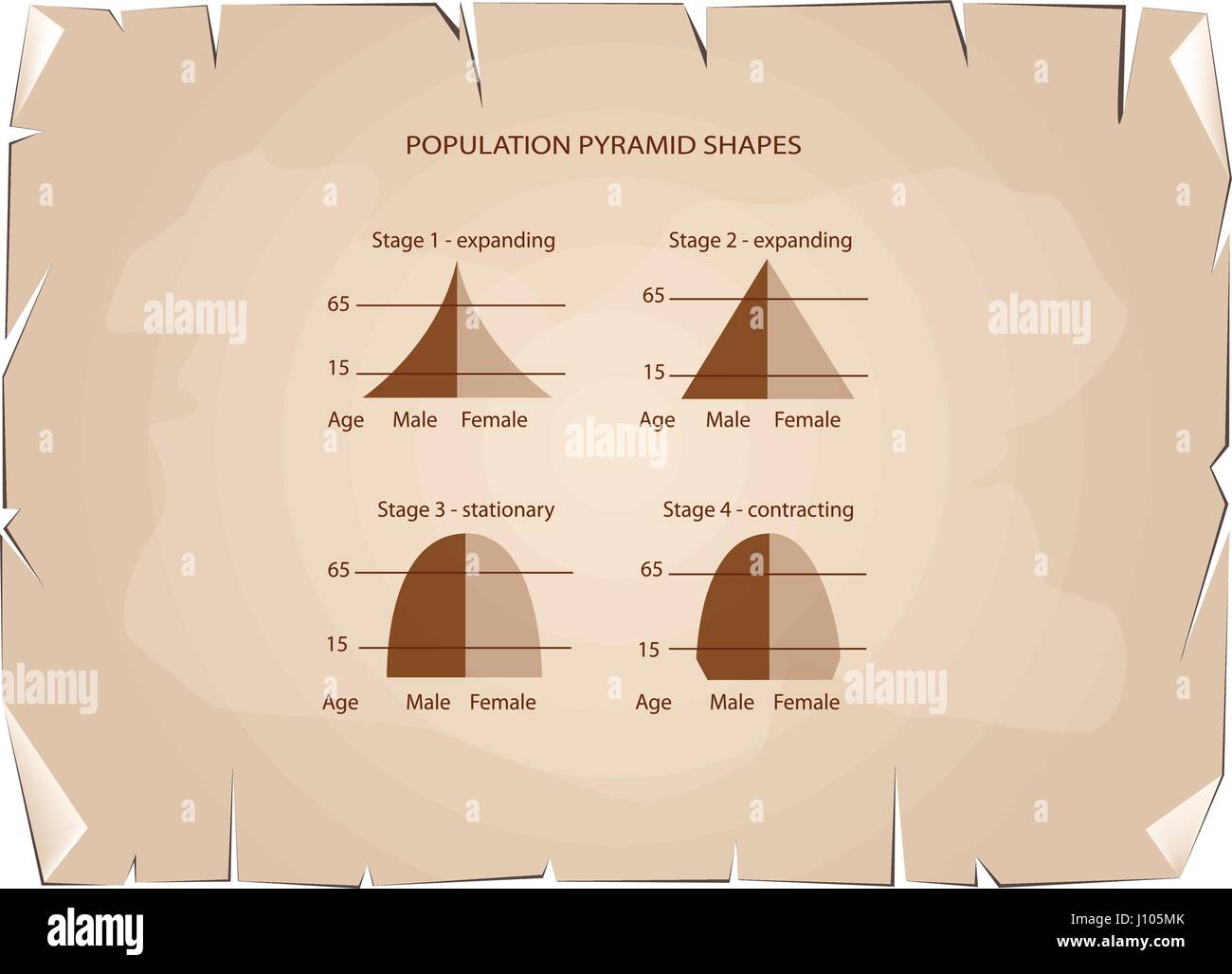 Population and Demography, Illustration Set of 4 Types of Population ...