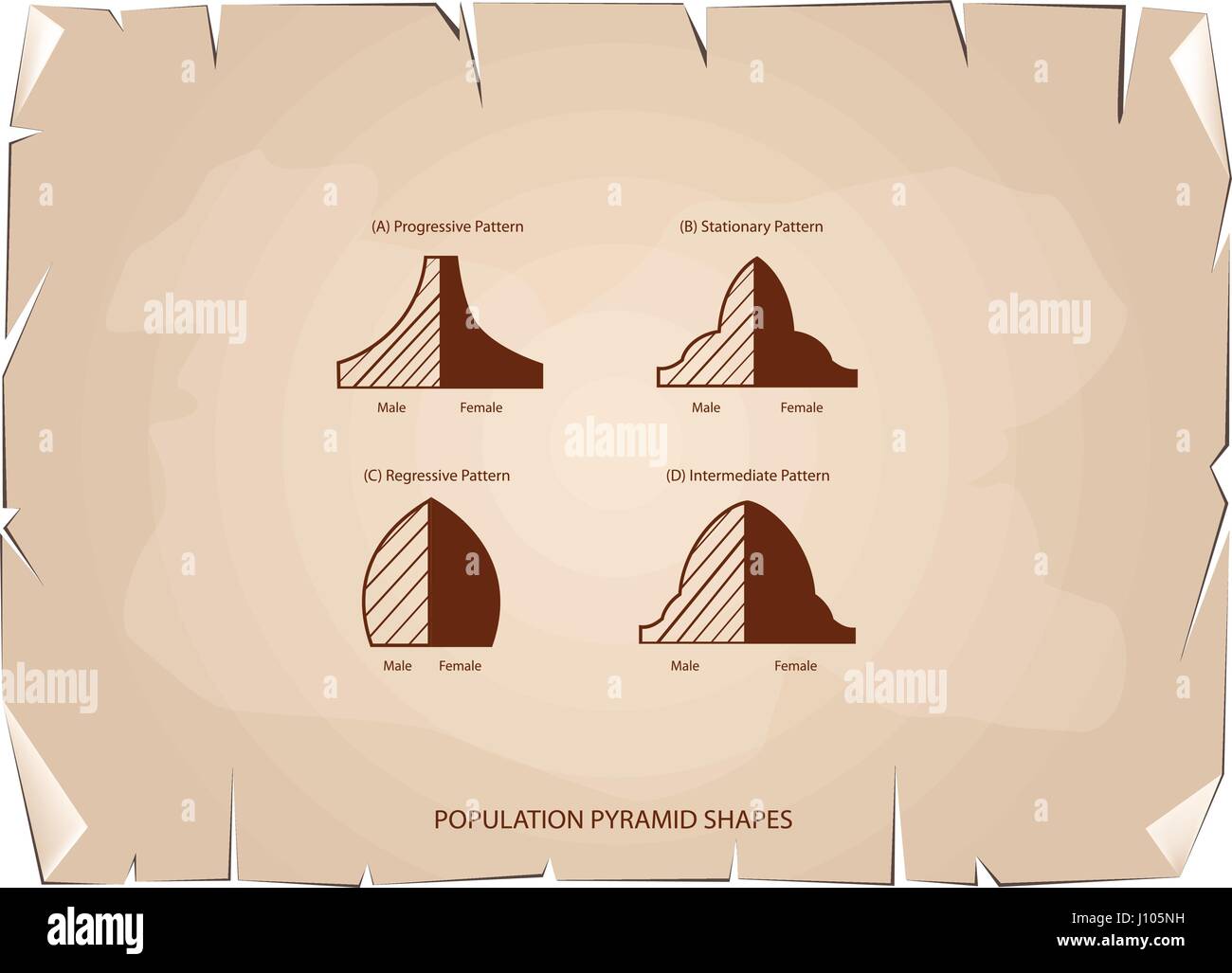Population And Demography Illustration Set Of 4 Types Of Population
