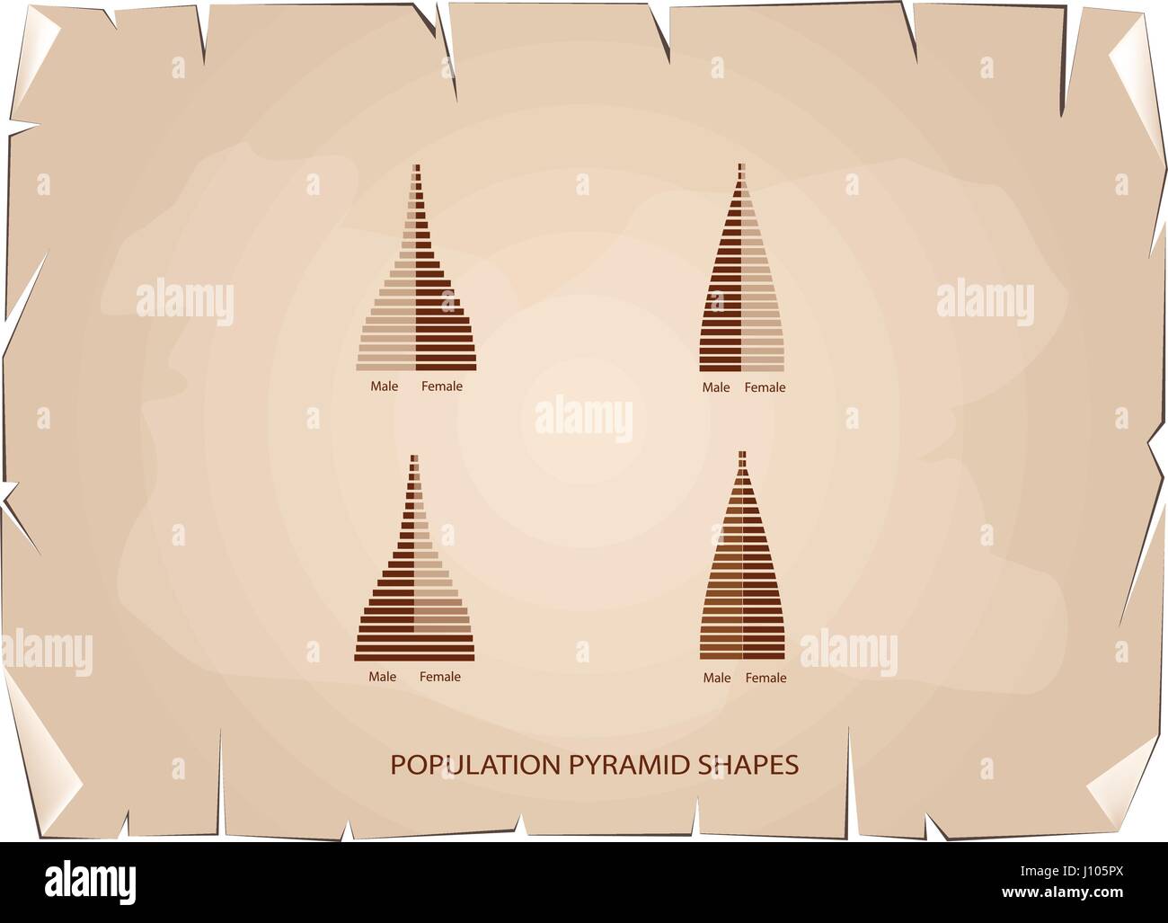 Population and Demography, Illustration of 4 Types of Population ...