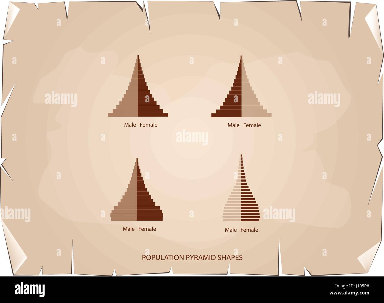 Population And Demography Illustration Of 4 Types Of Population Pyramids Chart Or Age Structure