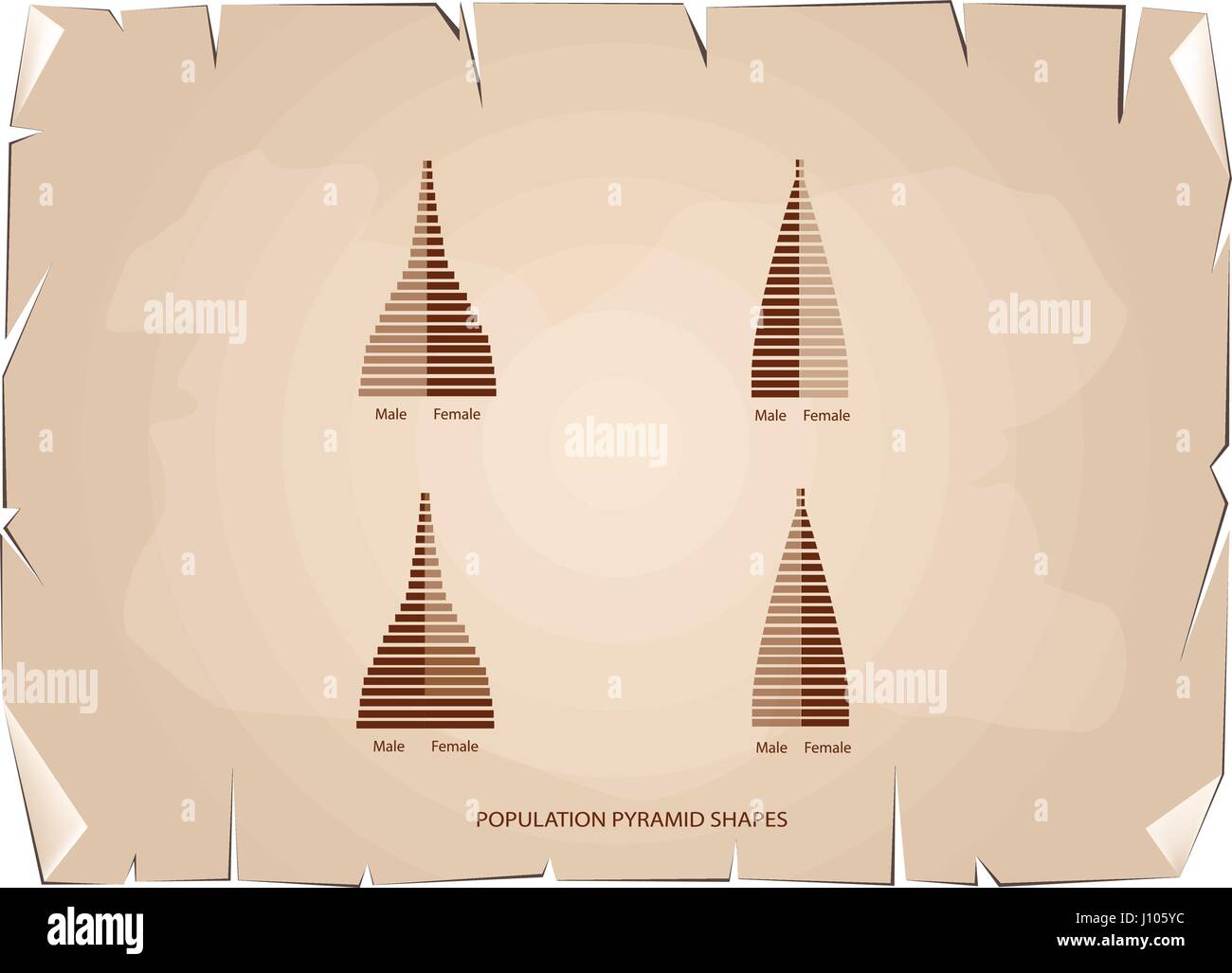 Population and Demography, Illustration of 4 Types of Population ...