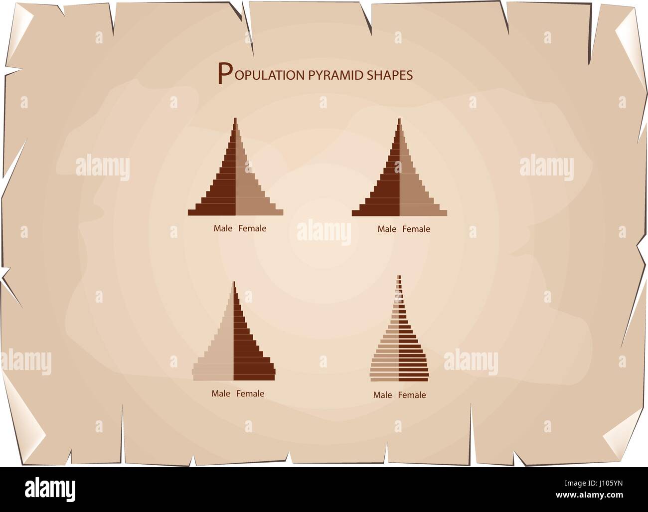 Population and Demography, Illustration of 4 Types of Population ...