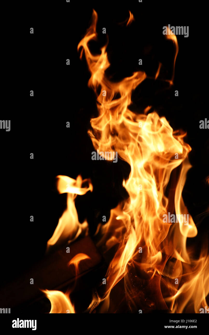 Tongues of flame of fire of orange-yellow color from burning fir Stock ...