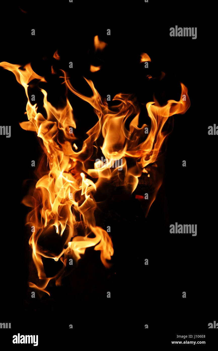 Tongues of flame of fire of orange-yellow color from burning fir Stock ...