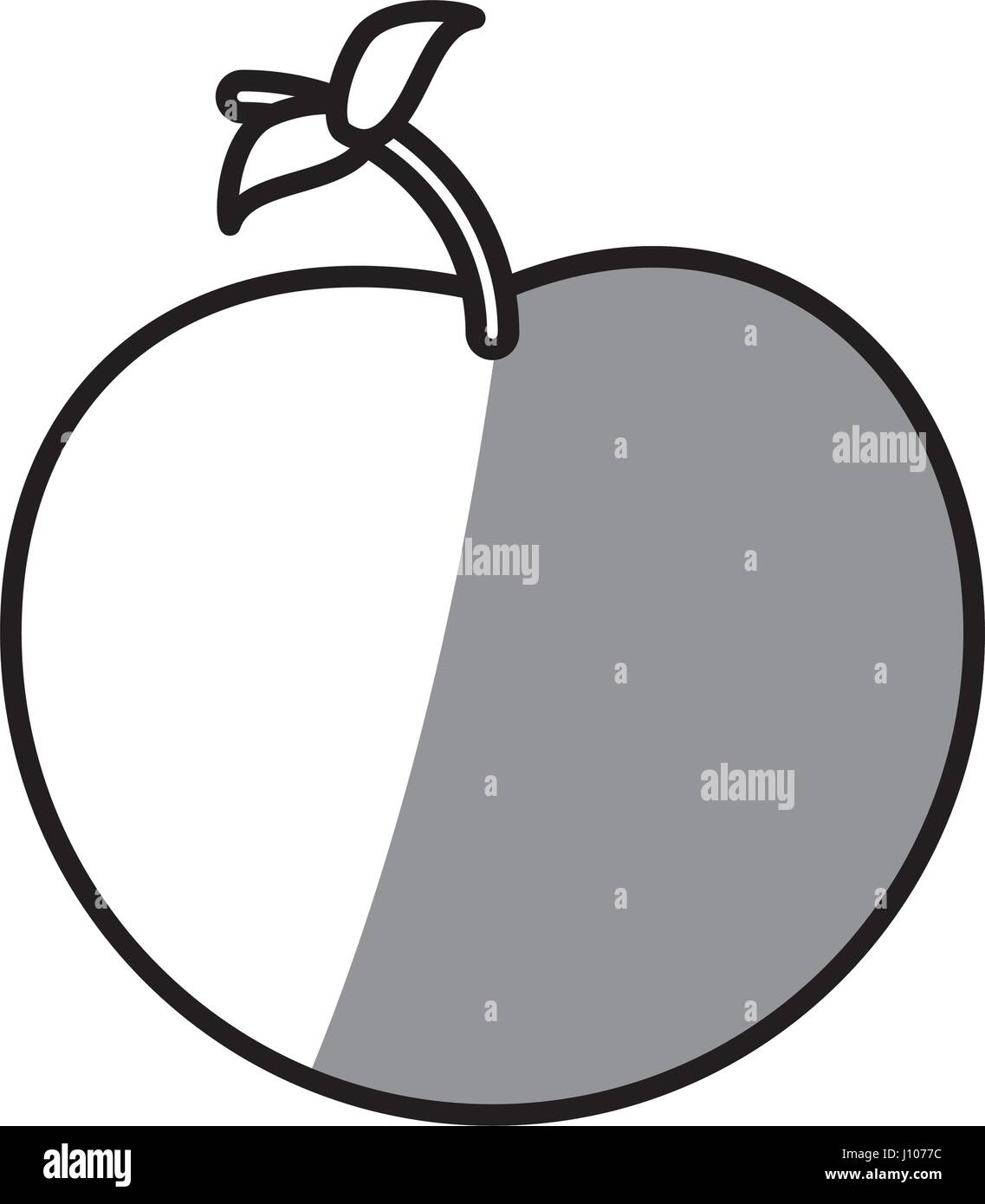 apple fruit picnic shadow Stock Vector Image & Art - Alamy