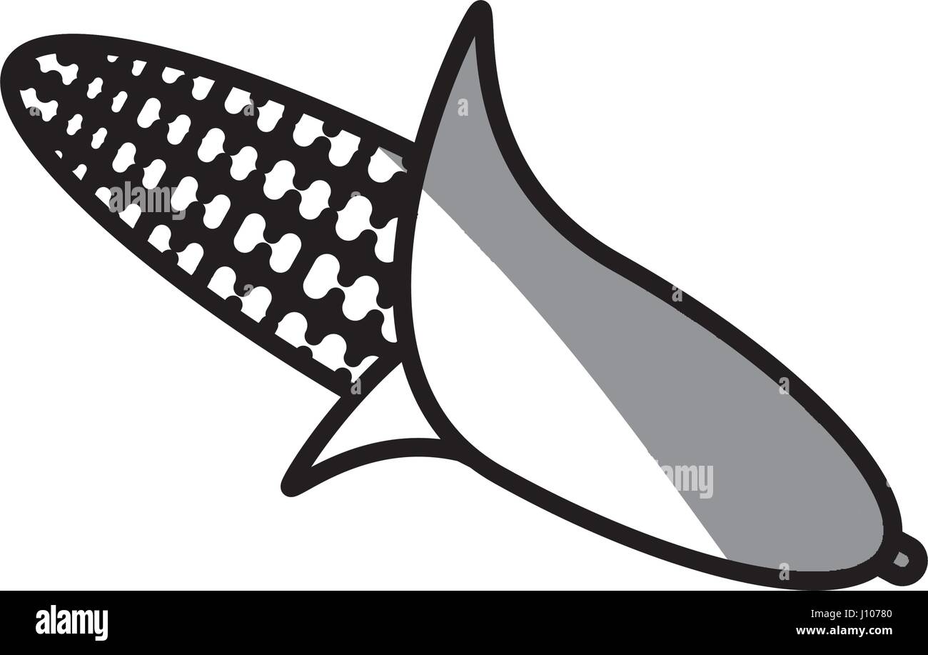 Detail fresh corn cob Stock Vector Images - Alamy