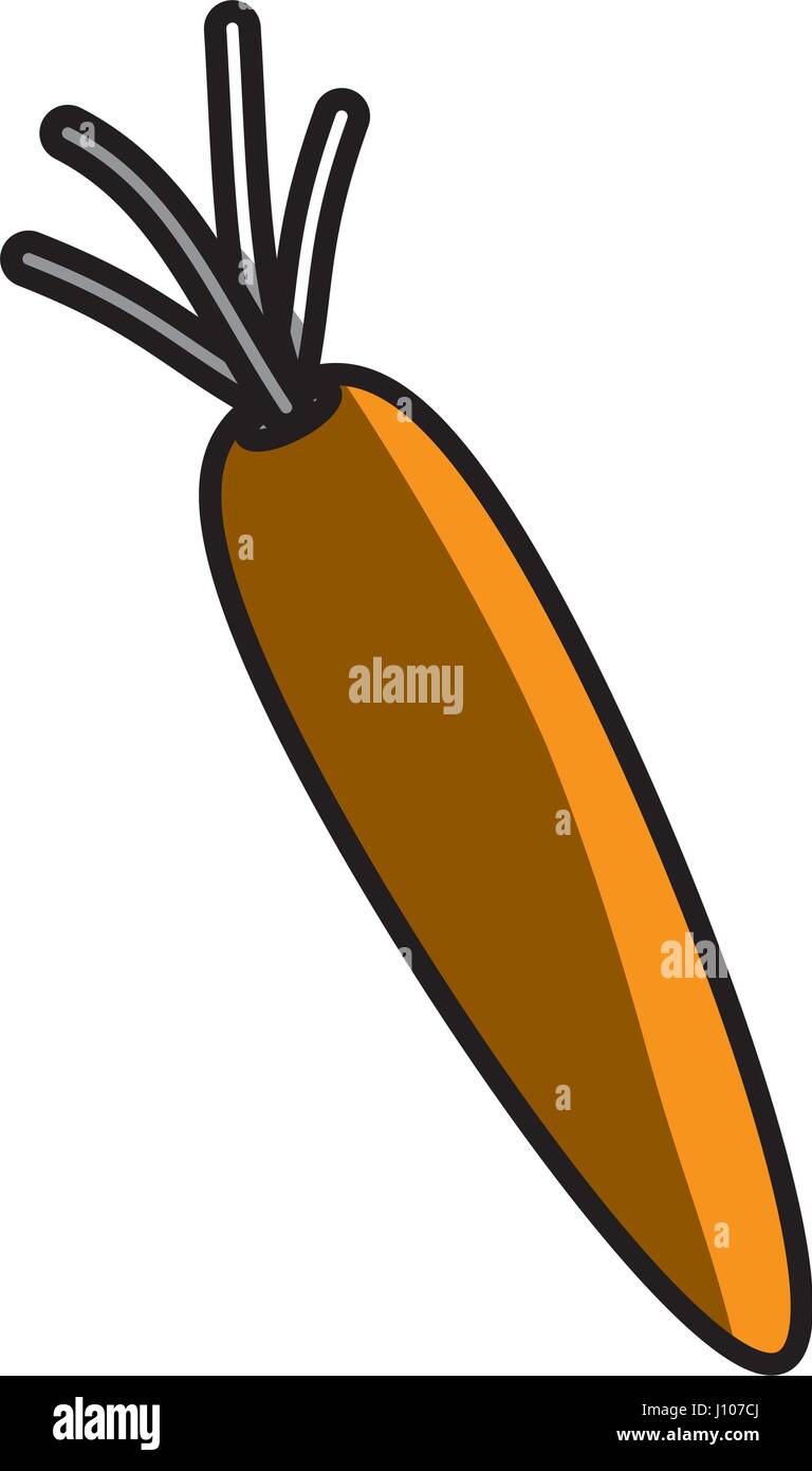 carrot food fresh picnic shadow Stock Vector Image & Art - Alamy