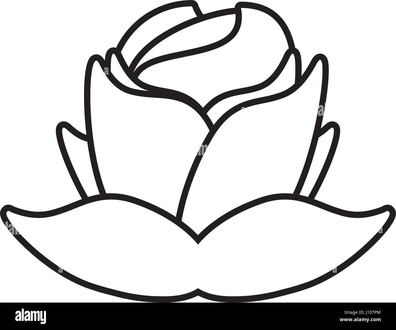 rose flower decorative outline Stock Vector Image & Art - Alamy