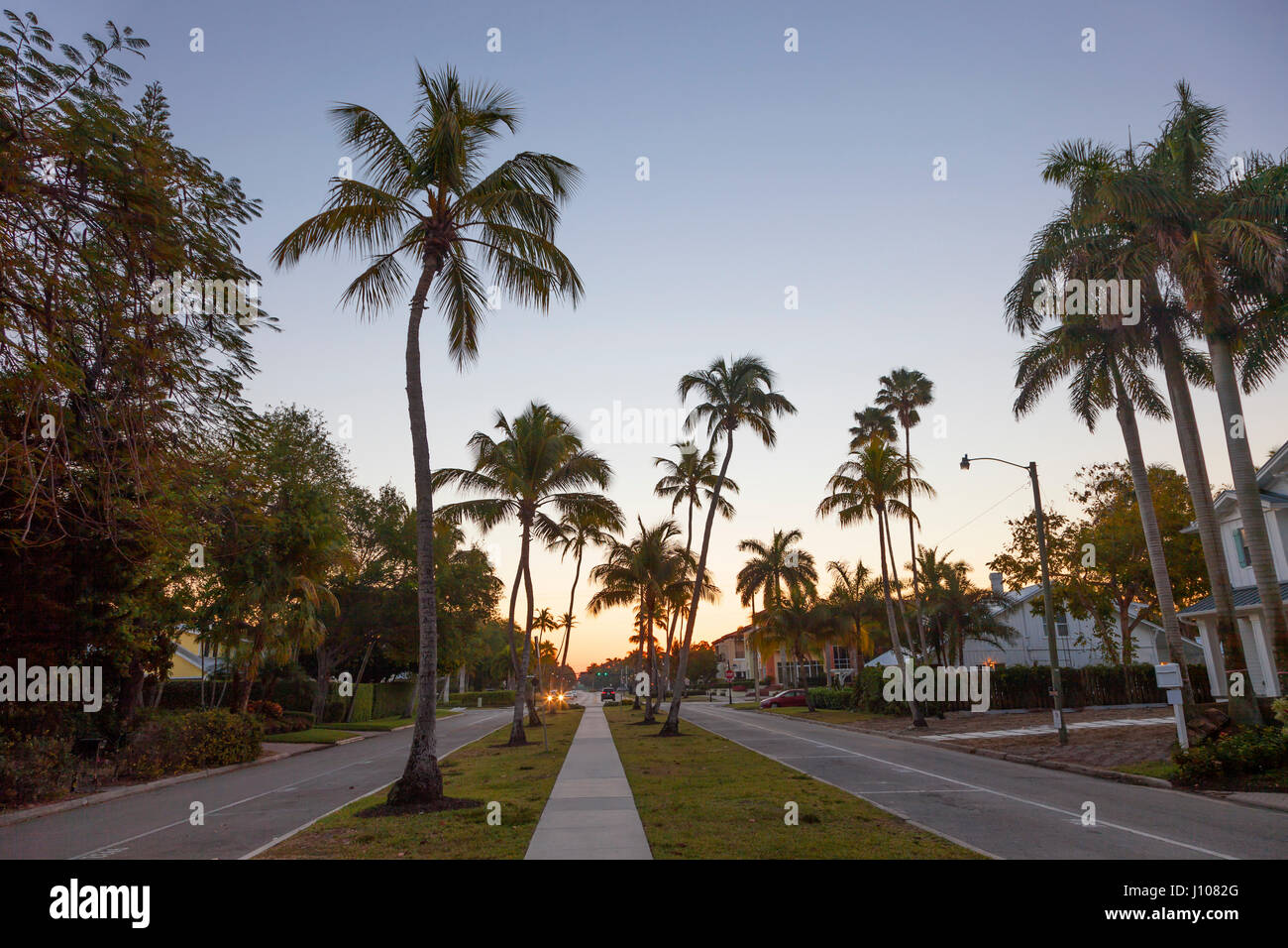 Florida road palm trees hi-res stock photography and images - Alamy