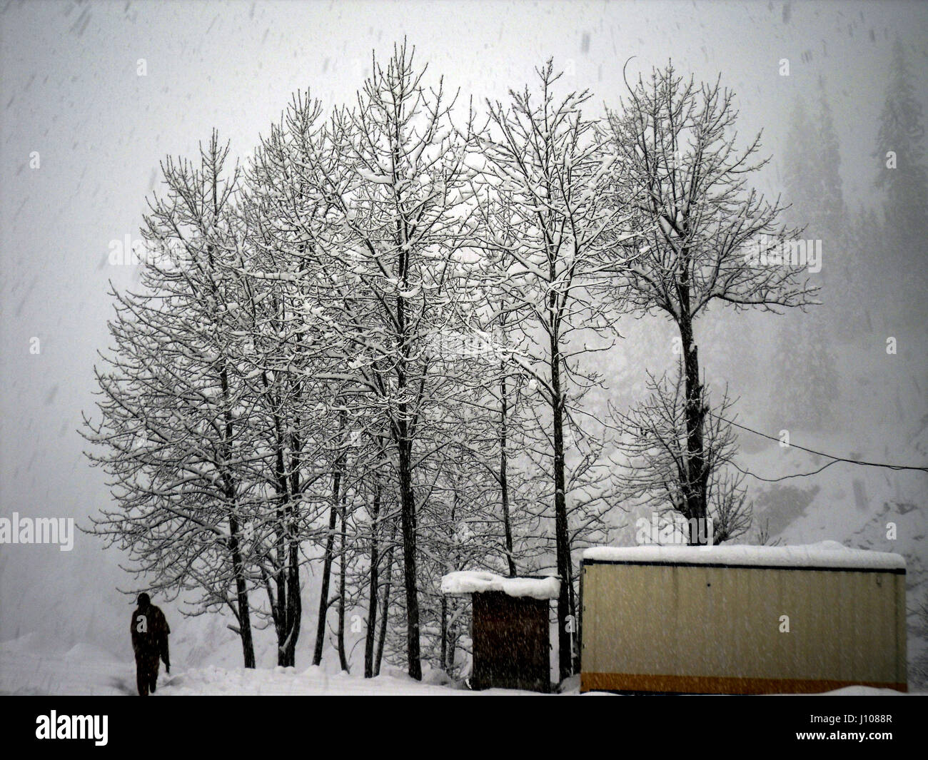 Romantic view of snowfall Stock Photo - Alamy