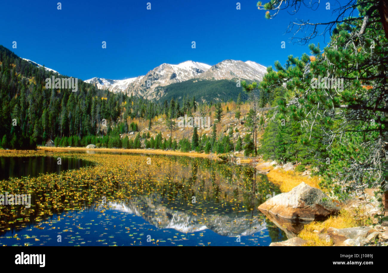 Cub lake mountain national park hi-res stock photography and images - Alamy