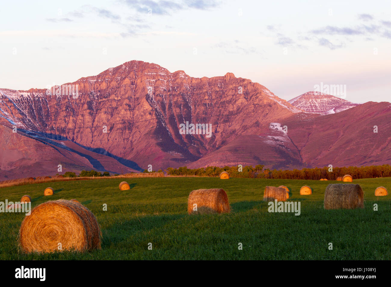 Canadian Rockies at sunrise with view of mountains, farm fields, and ...