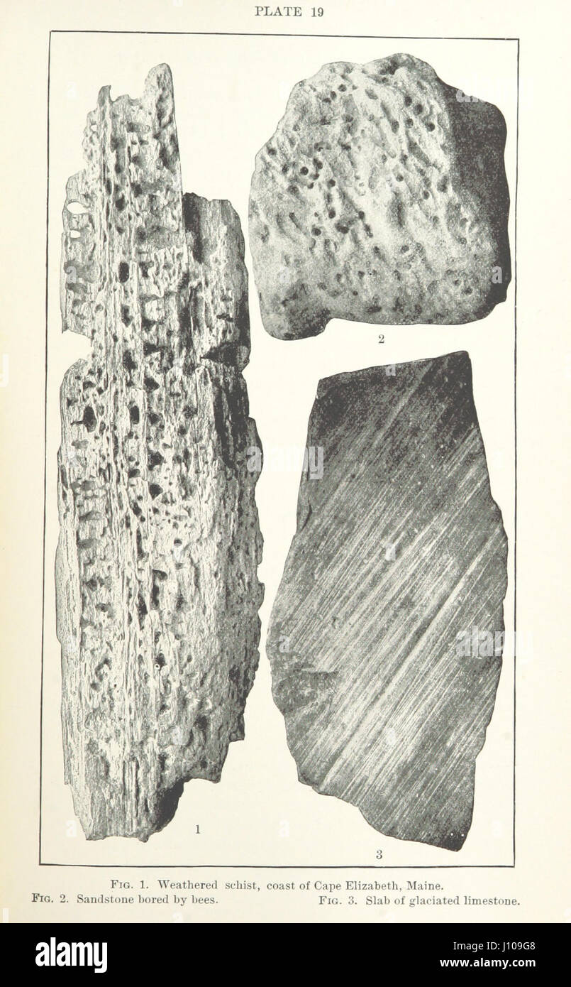 A Treatise on Rocks, Rock-Weathering, and Soils. [With illustrations ...