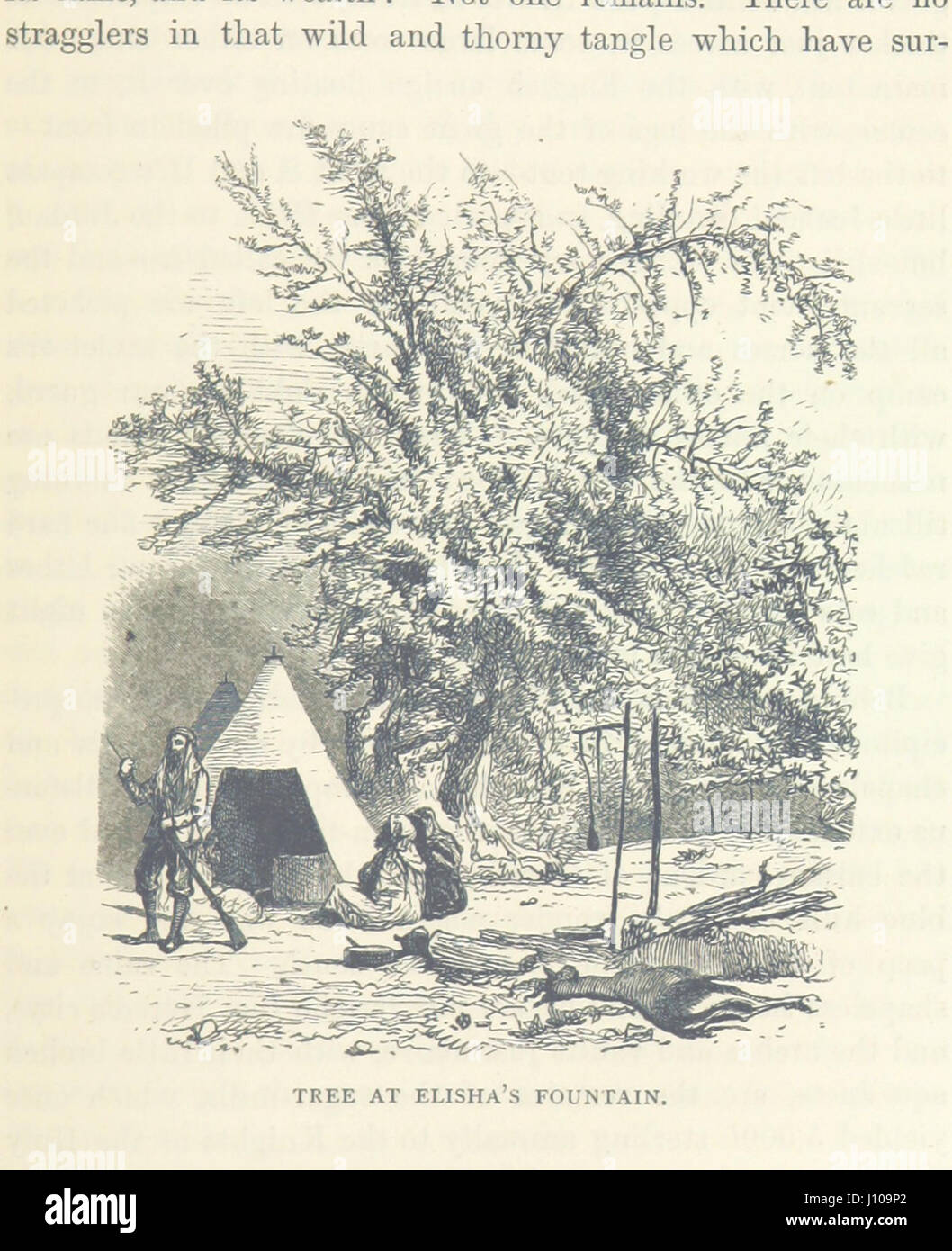 The Lan of Israel; a journal of Travels in Palestine, undertaken with a ...