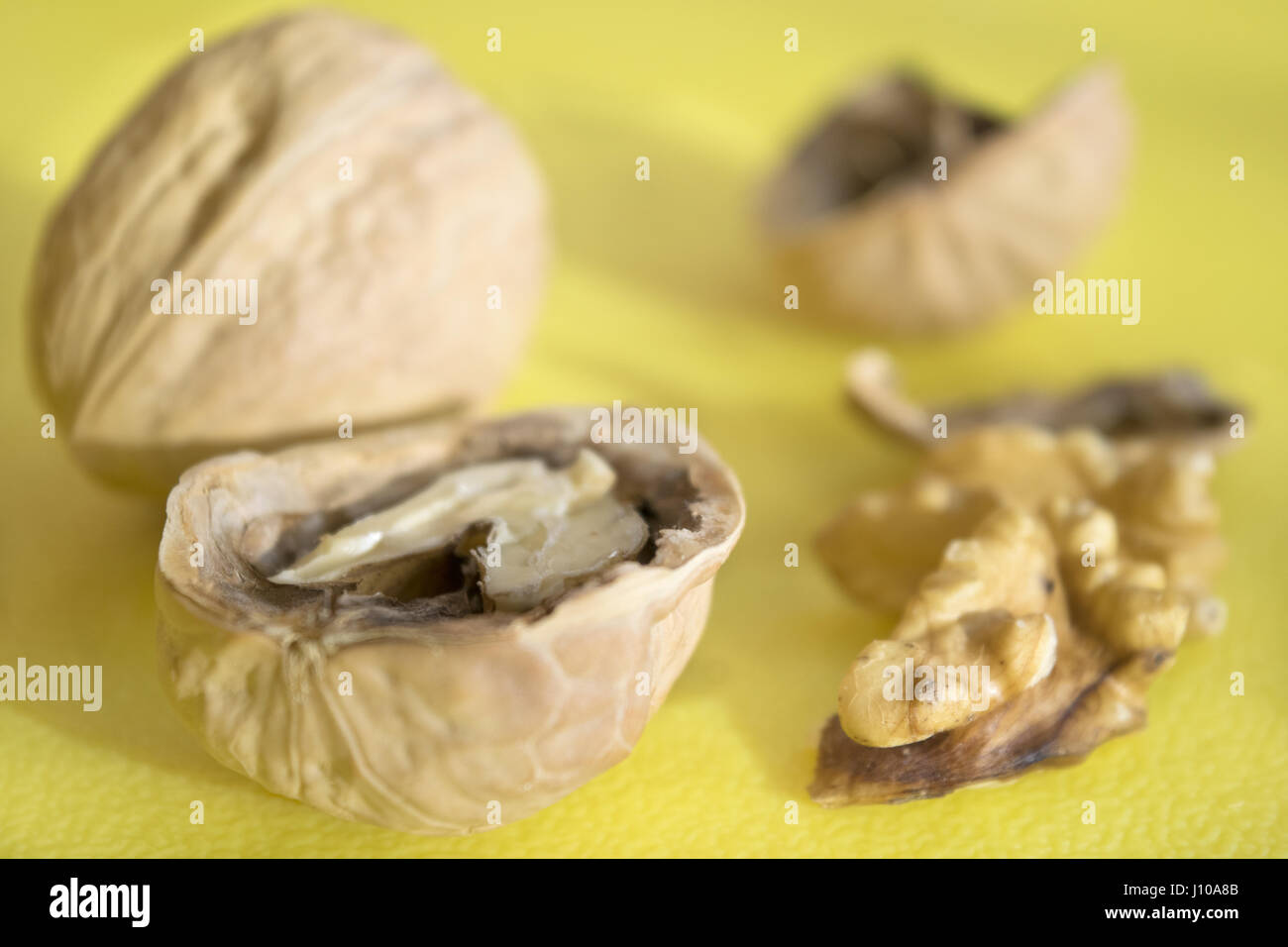 shelled kernels of walnuts and nutshells Stock Photo - Alamy