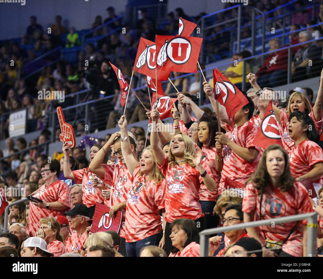 College gymnastics fans hi-res stock photography and images - Alamy