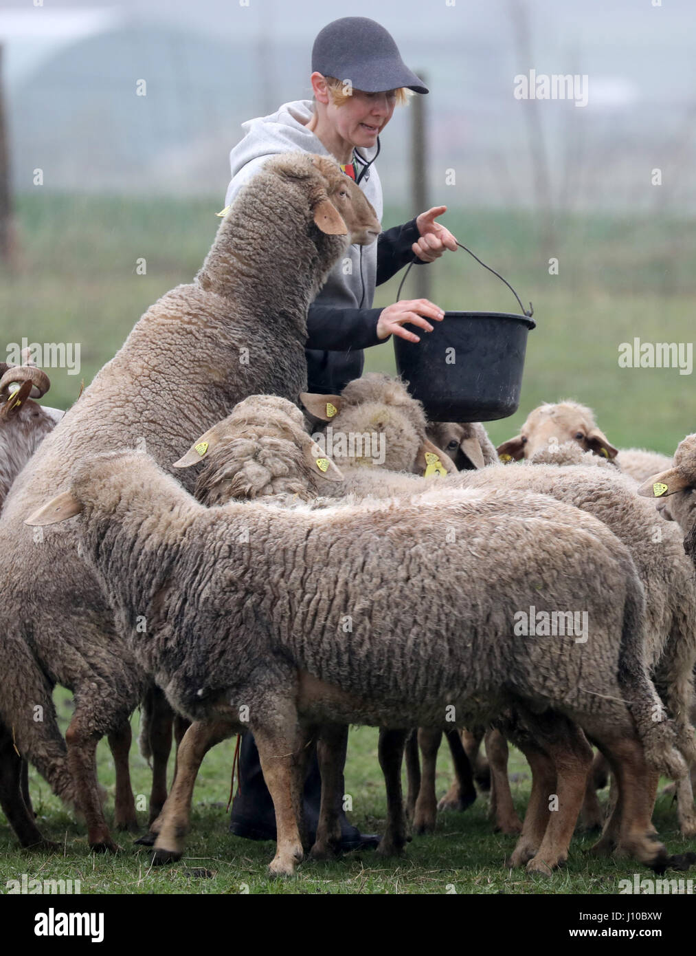 Sheep people wearing wool hi-res stock photography and images - Alamy
