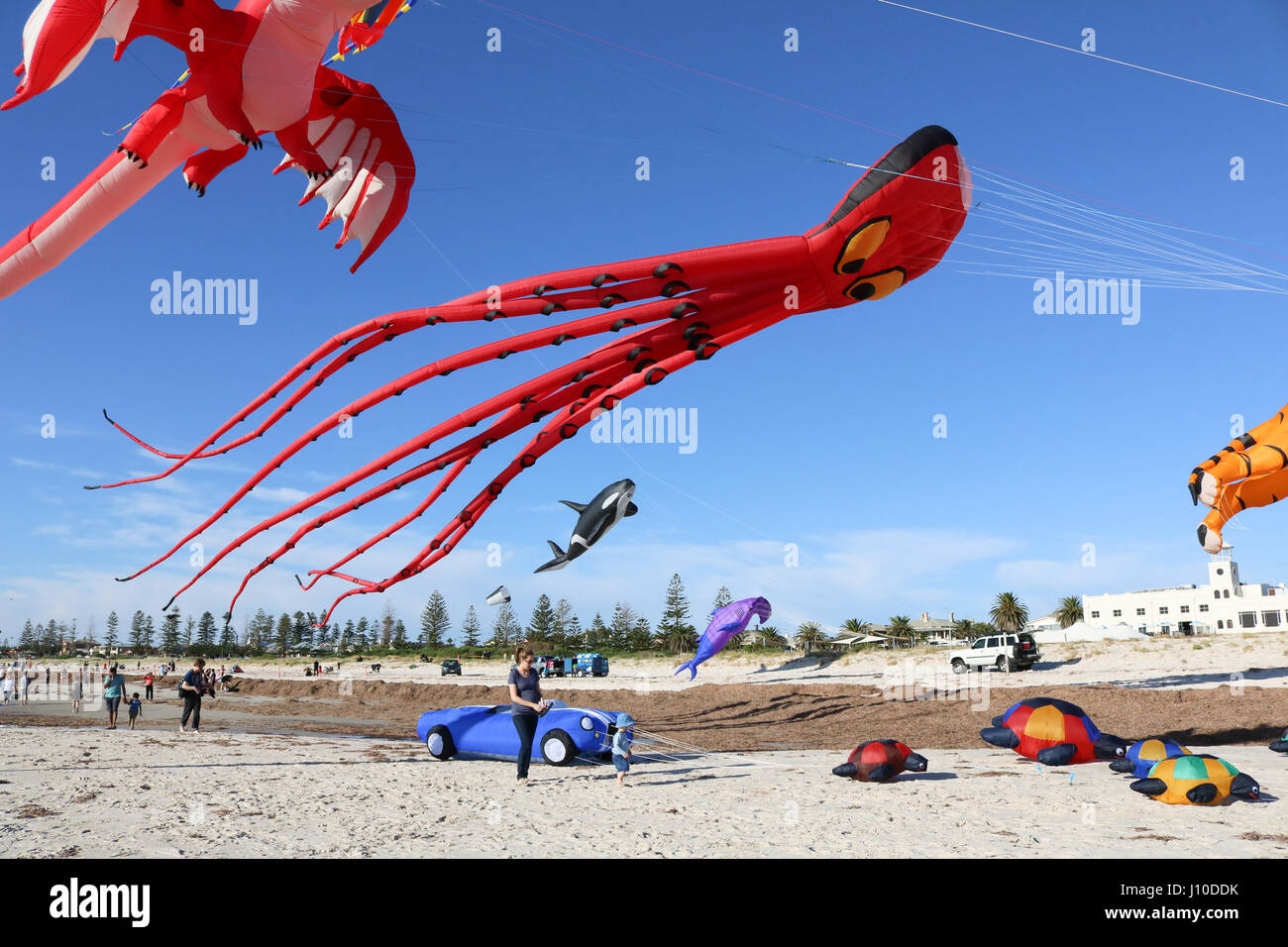 Adelaide Australia . 17th April 2017. A giant octopus kite flies at the ...