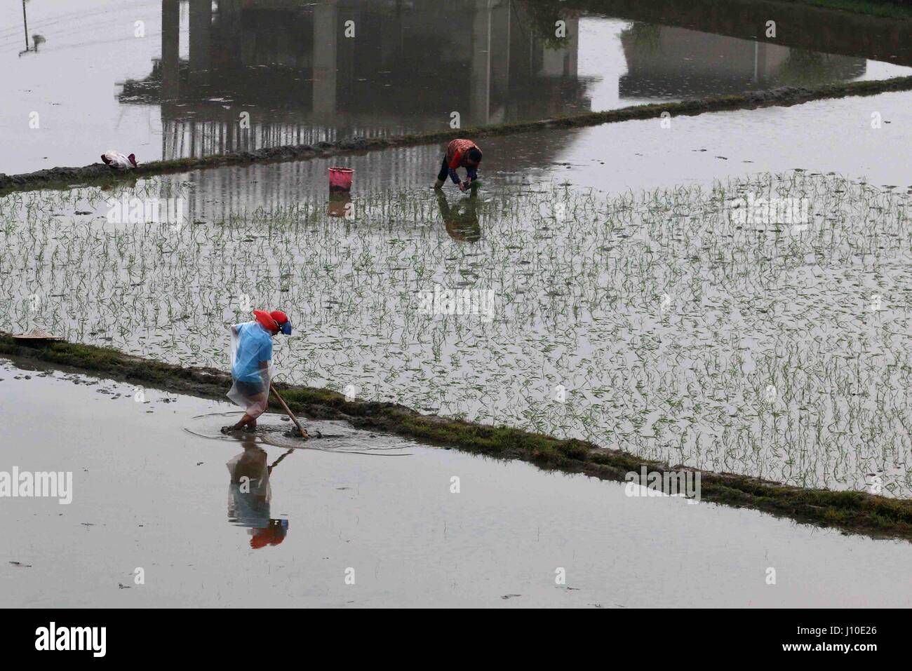 Jian, China. 17th Apr, 2017. Aerial photography of peasants busy with ...