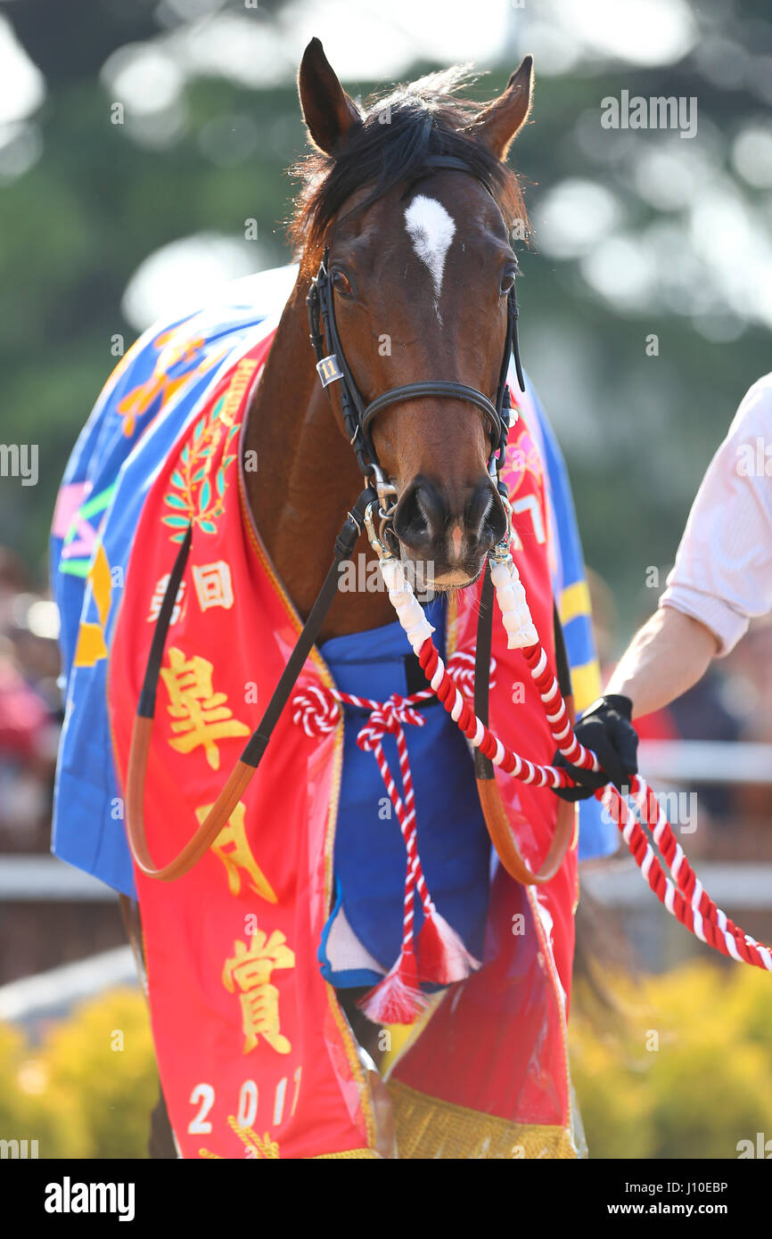 Funabashi, Chiba, Japan. 16th Apr, 2017. Al Ain Horse Racing : Al Ain ...