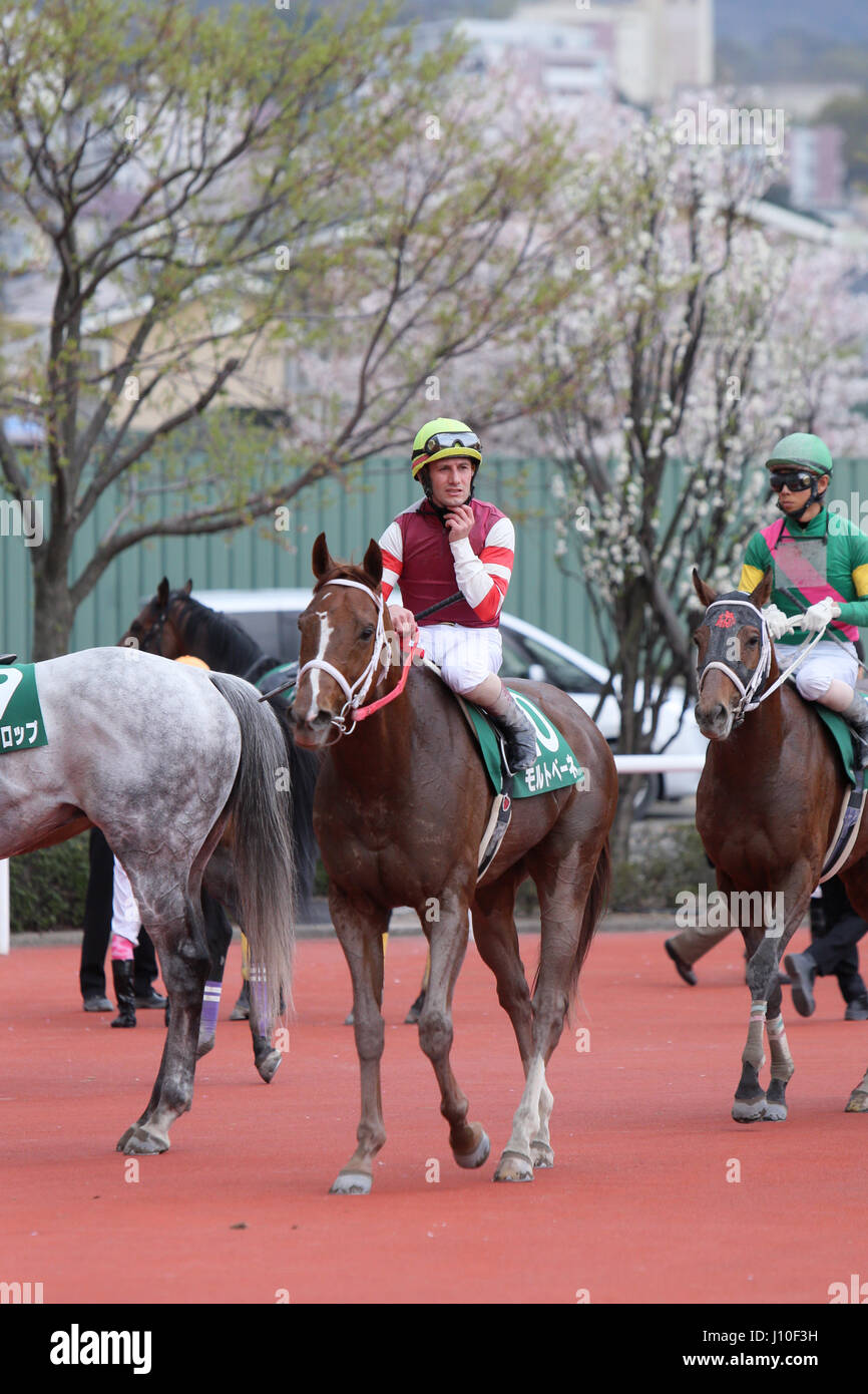 Hyogo, Japan. 15th Apr, 2017. (L-R) Molto Bene ( Mirco Demuro), Tagano ...