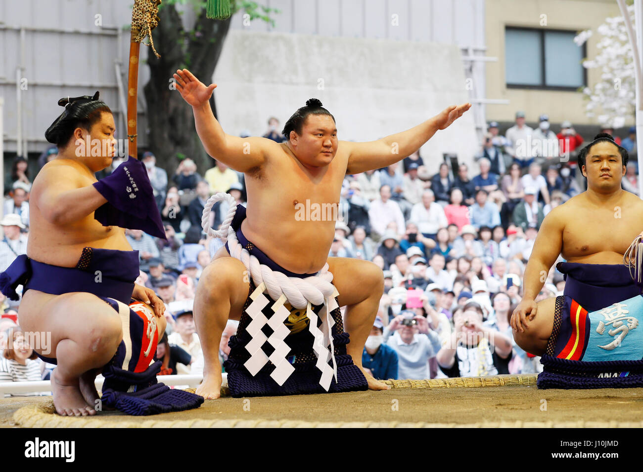 Tokyo, Japan. 17th Apr, 2017. Hakuho Sumo : Yasukuni Shrine Honozumo is ...