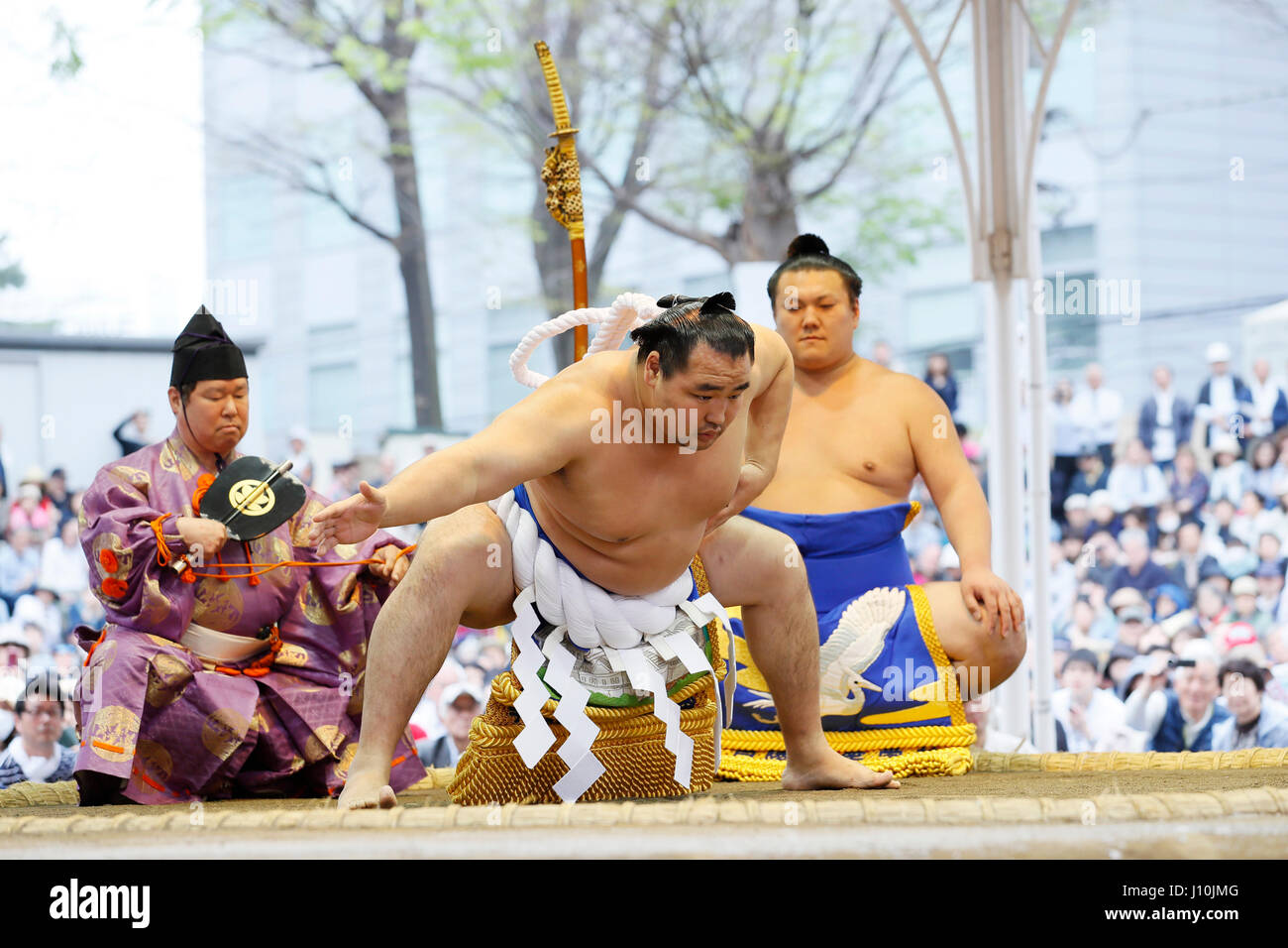 Tokyo, Japan. 17th Apr, 2017. Kakuryu Sumo : Yasukuni Shrine Honozumo ...