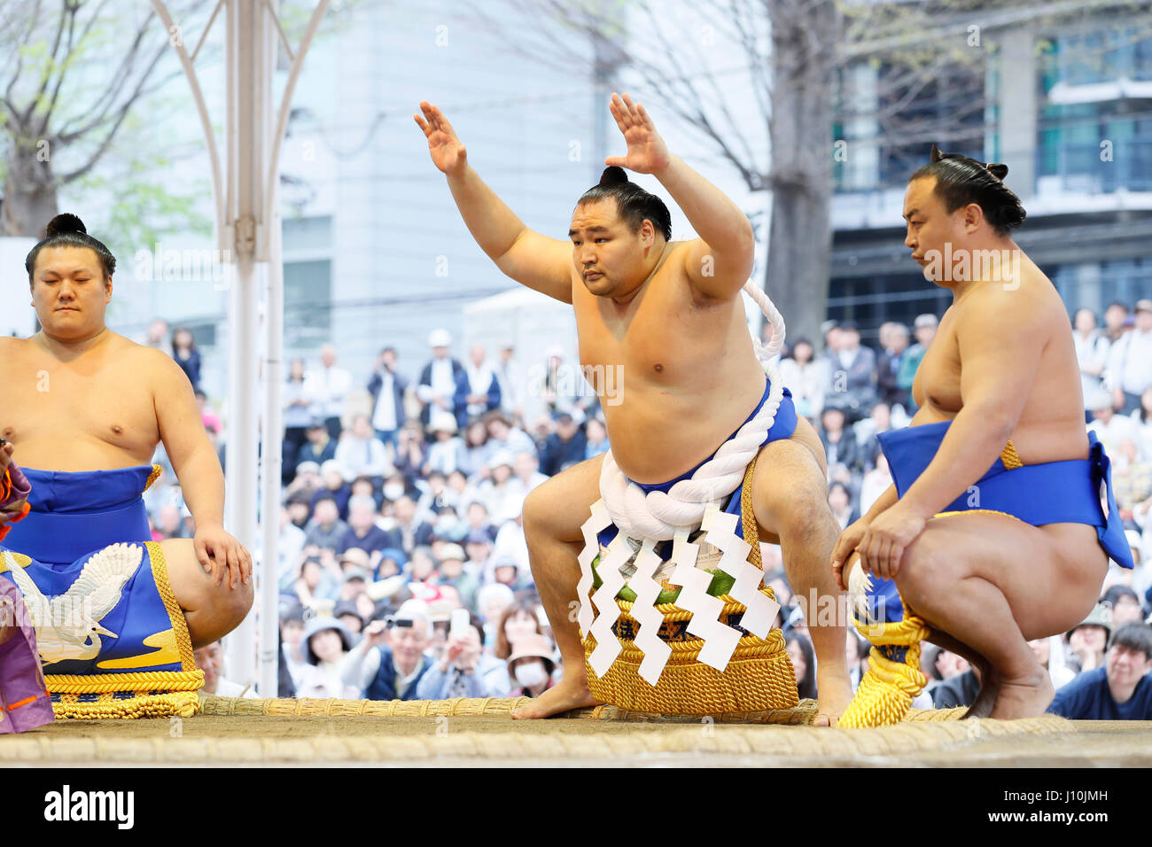 Tokyo, Japan. 17th Apr, 2017. Kakuryu Sumo : Yasukuni Shrine Honozumo ...