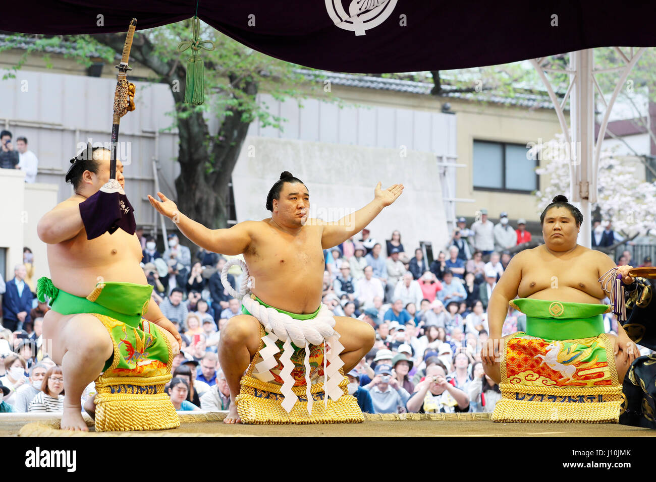 Harumafuji Sumo , Harumafuji vs Kakuryu – VHPAZN