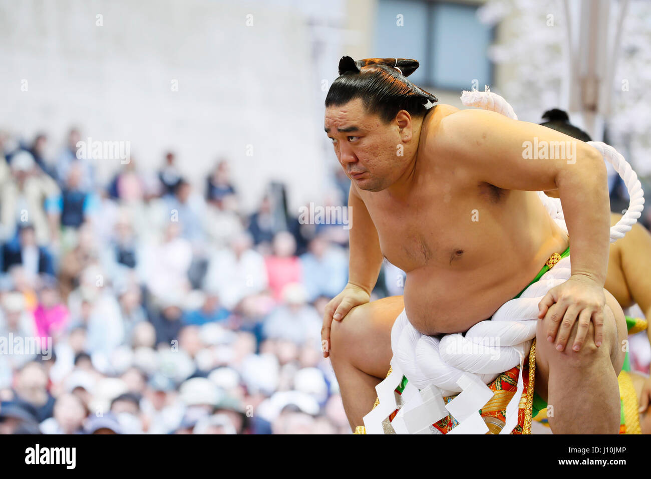 Tokyo, Japan. 17th Apr, 2017. Harumafuji Sumo : Yasukuni Shrine ...