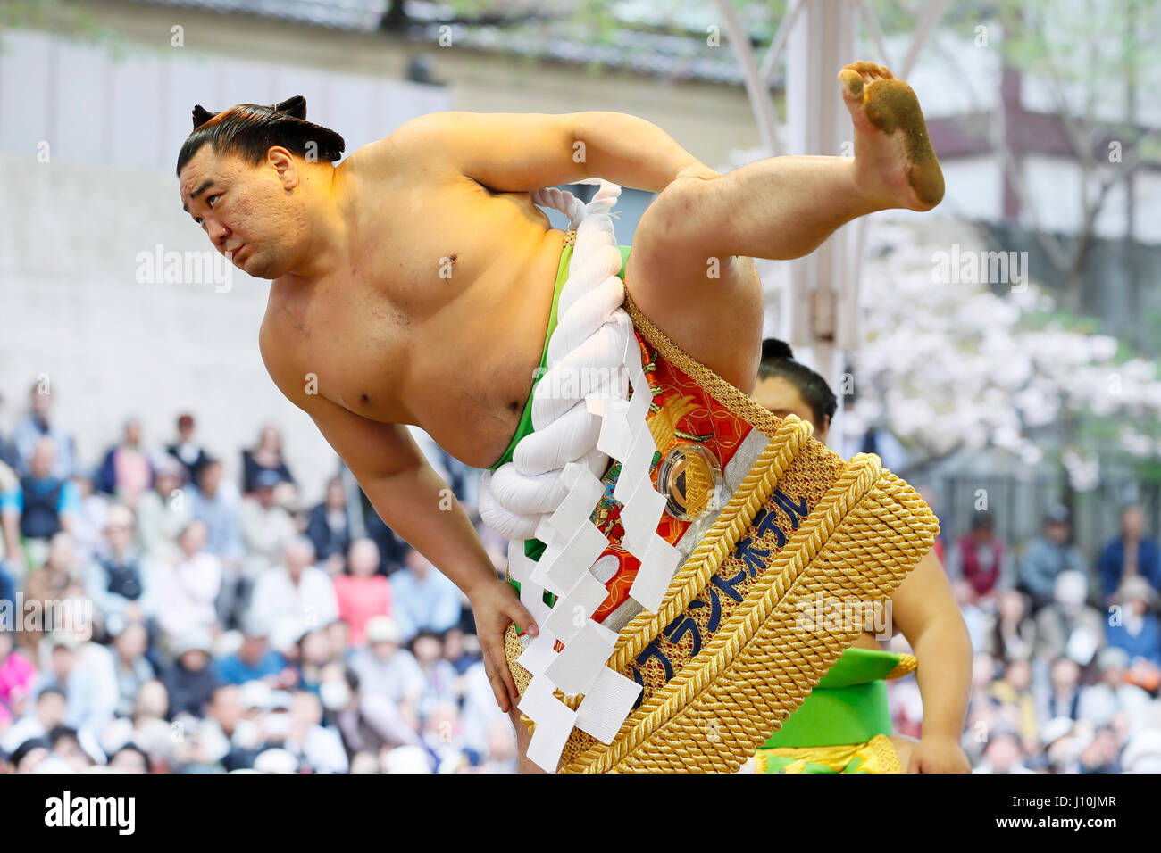 Tokyo, Japan. 17th Apr, 2017. Harumafuji Sumo : Yasukuni Shrine ...