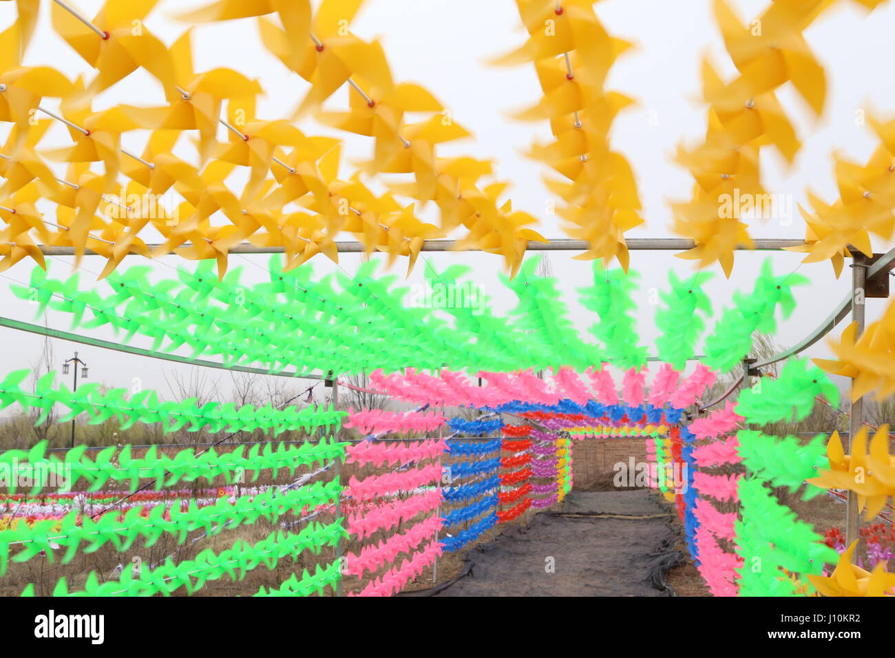 Pingliang, China. 16th Apr, 2016. More than 100,000 colorful pinwheels ...