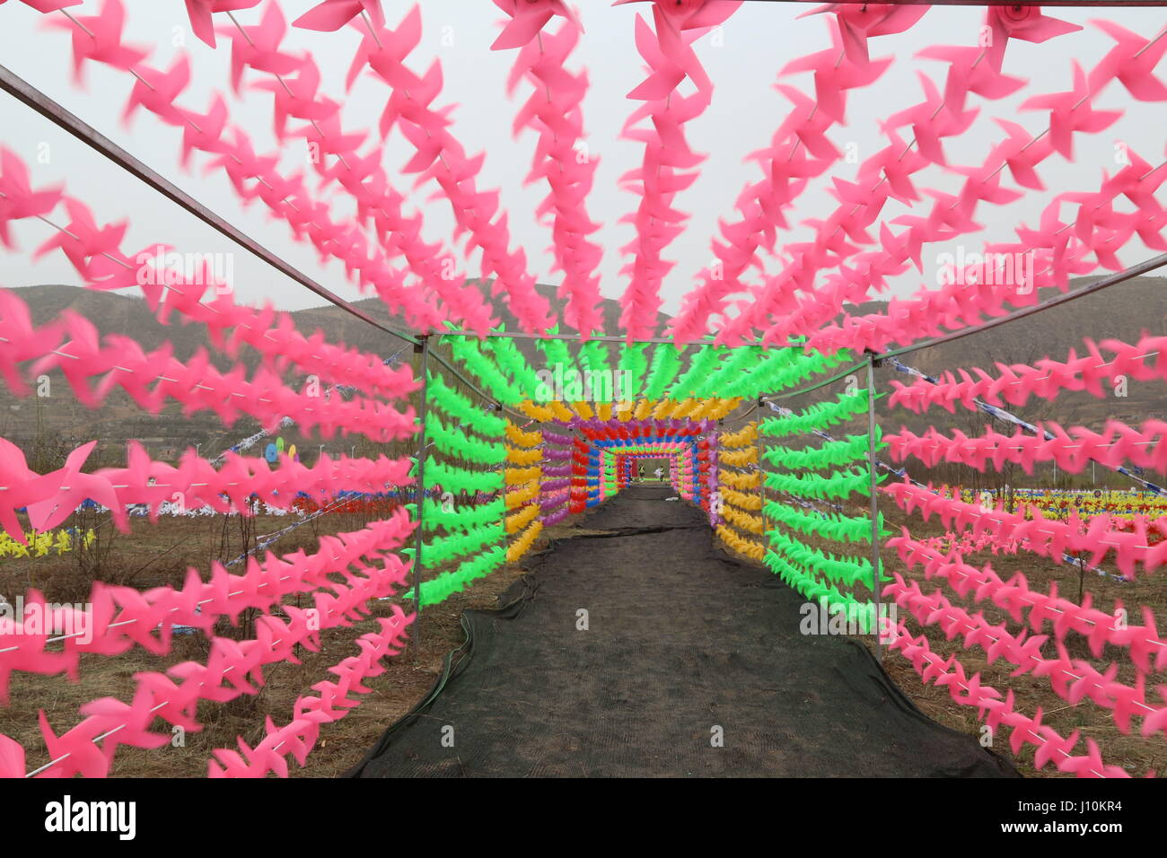 Pingliang, China. 16th Apr, 2016. More than 100,000 colorful pinwheels ...
