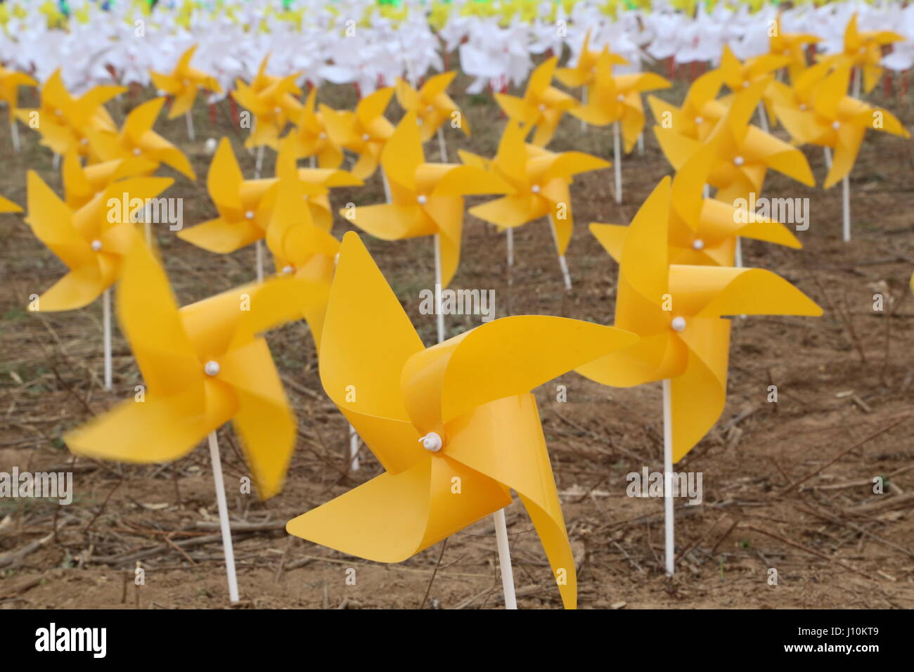 Pingliang, China. 16th Apr, 2016. More than 100,000 colorful pinwheels ...