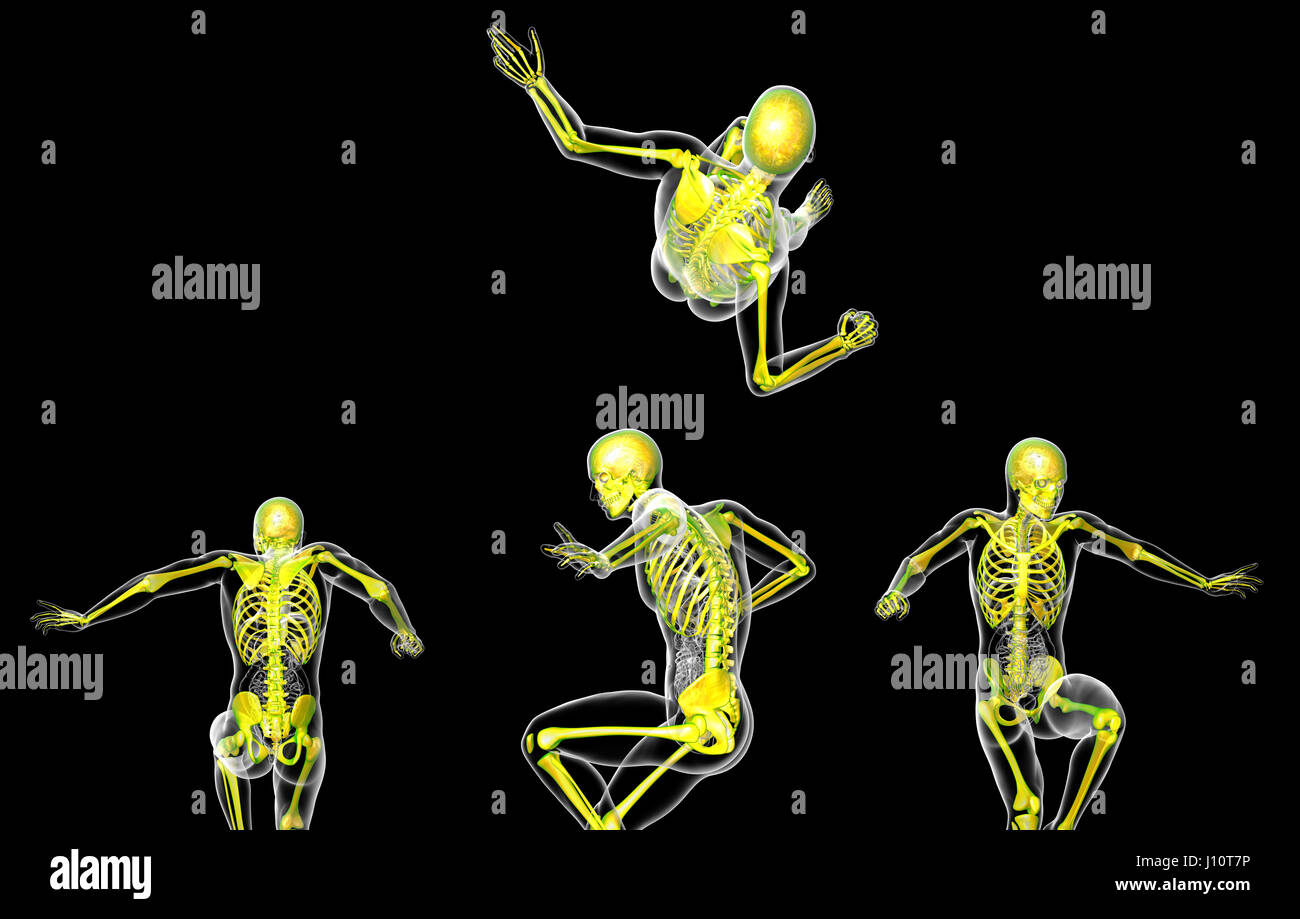 3d rendering medical illustration of the human skeleton Stock Photo - Alamy