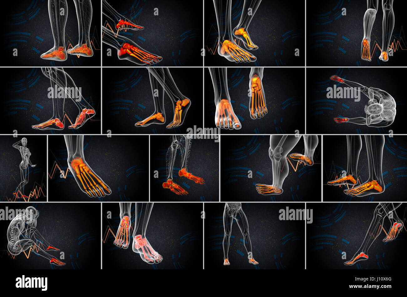 3d rendering medical illustration of the foot bone - back view Stock ...