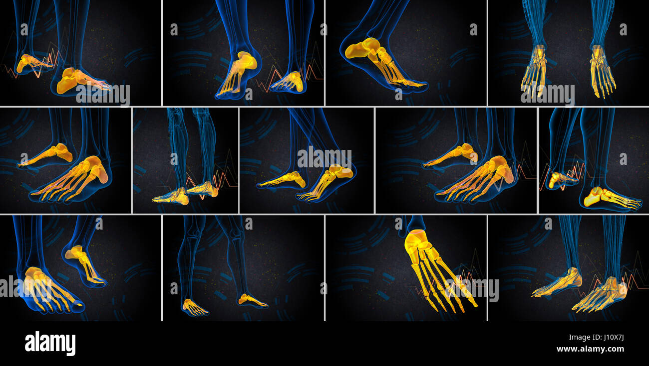 3d rendering medical illustration of the foot bone - back view Stock ...